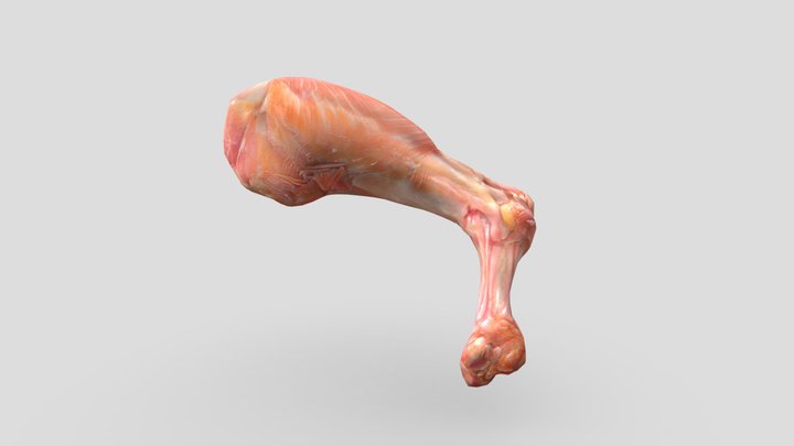Nugget 3D models - Sketchfab