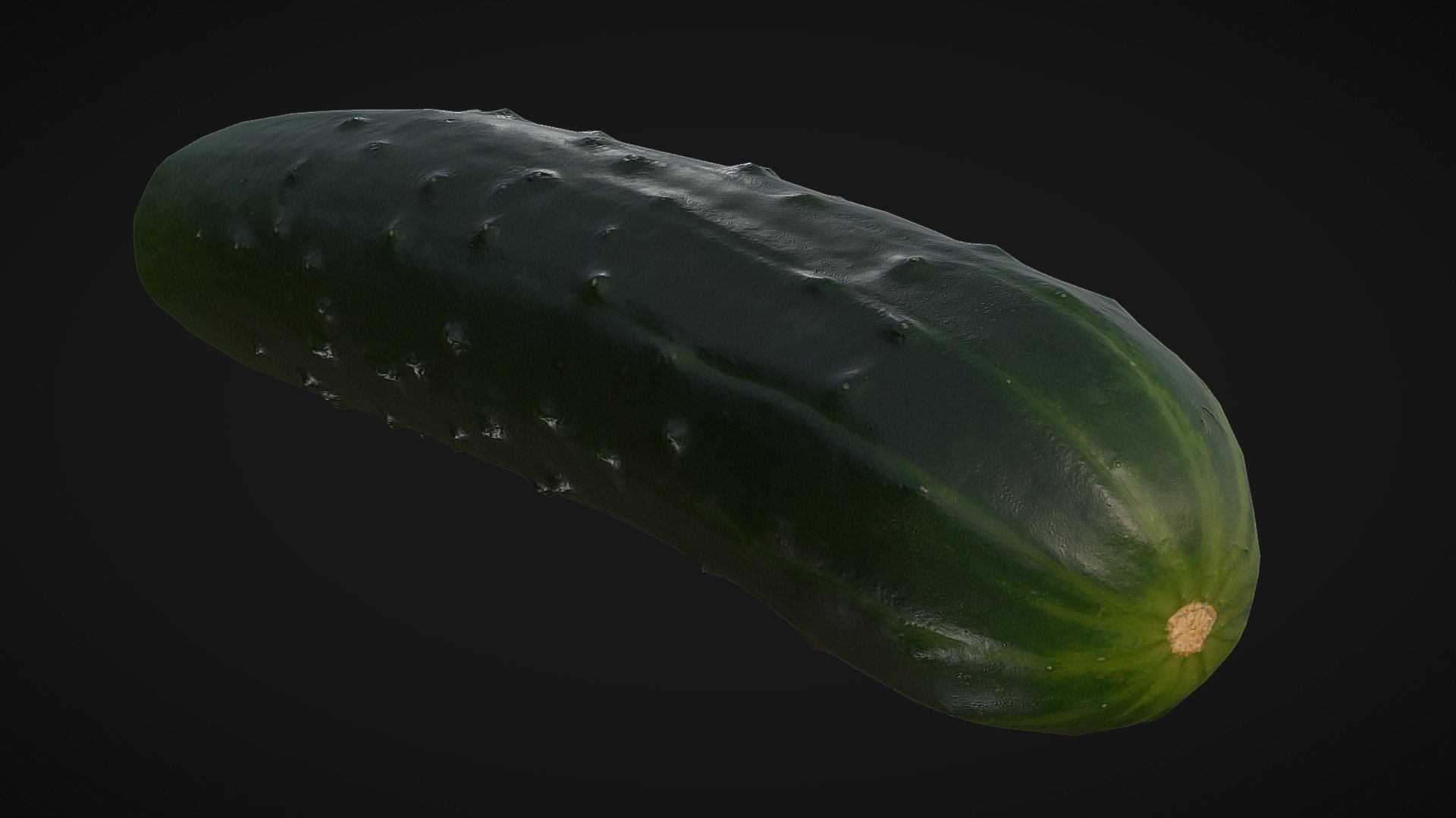 Cucumber - 3D model by AMajesticSeaFlapFlap [d7de104] - Sketchfab