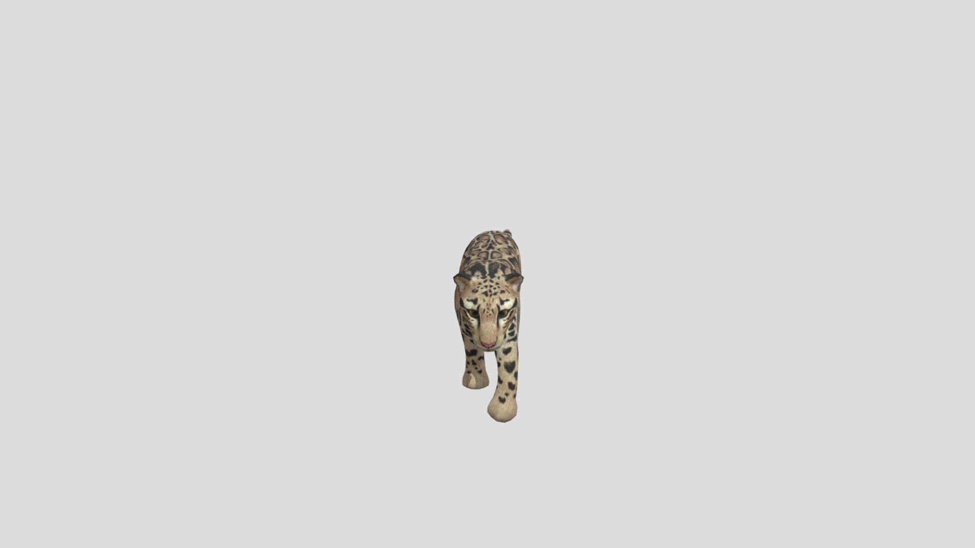 Leopard Walk V8 - 3D model by shinruanchen [d7e725b] - Sketchfab