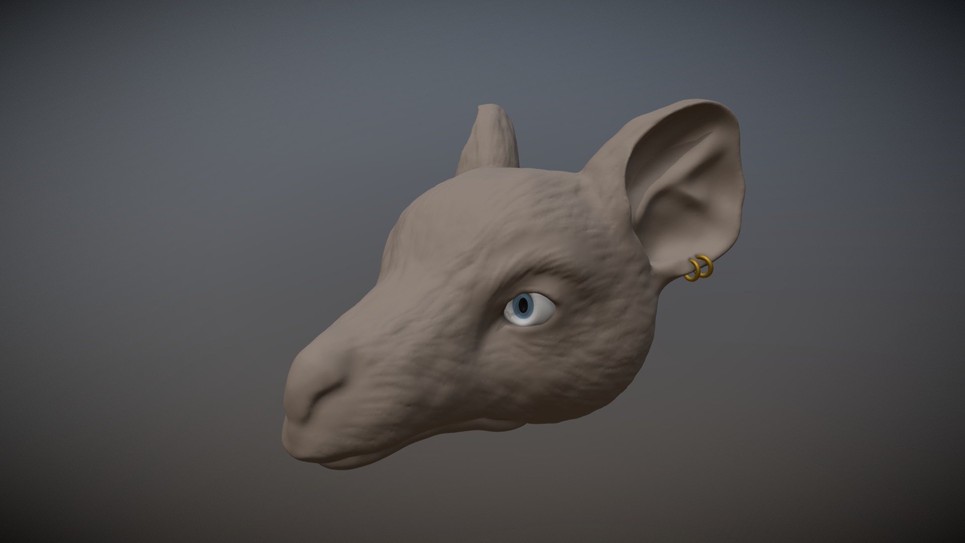 Rat Face - 3D model by Wingall [d81365c] - Sketchfab