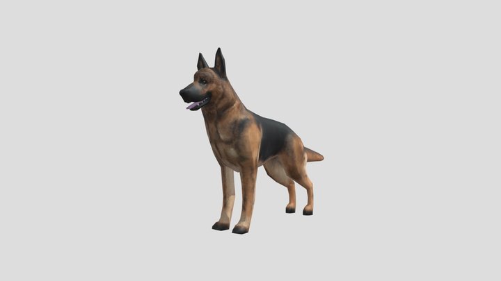 German-shepherd 3D models - Sketchfab