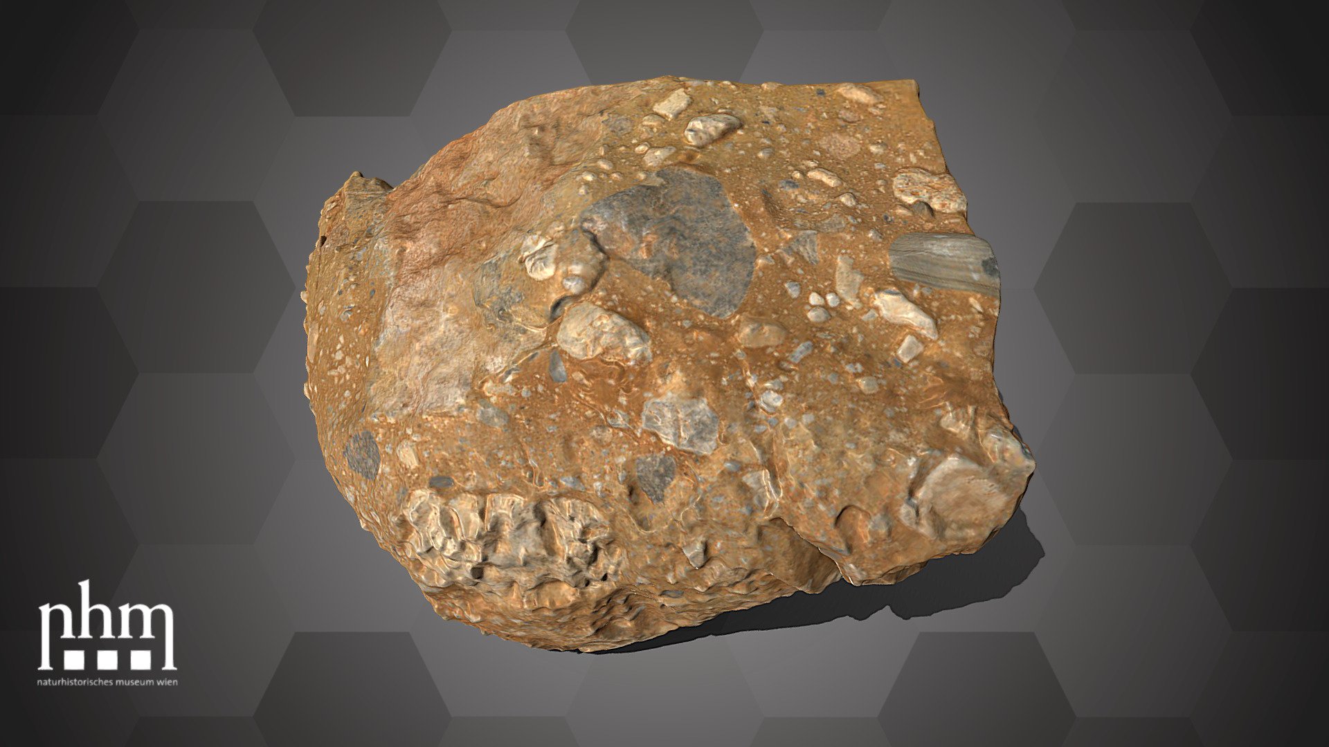 Diamictite (NHMW-Geo 2022/0050/0001) - Download Free 3D model by ...