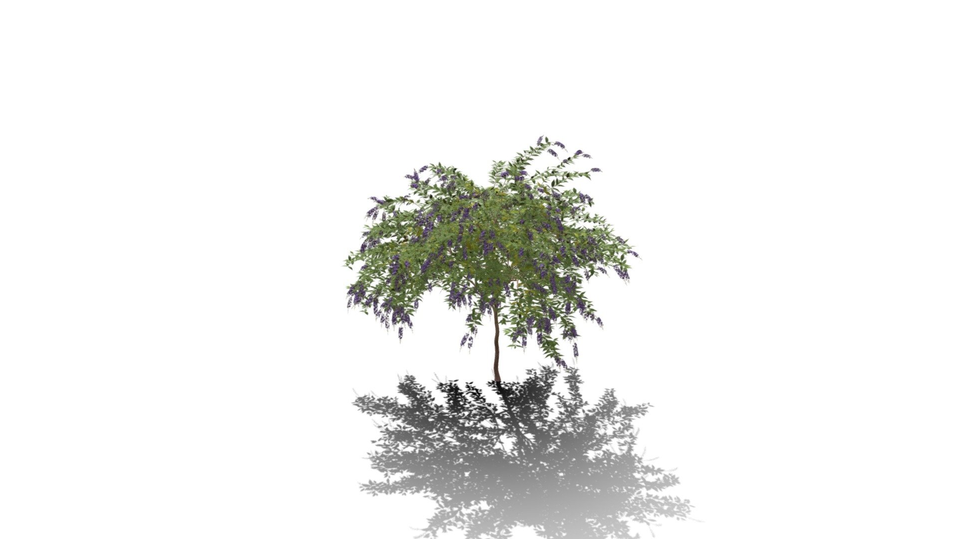 Realistic HD Golden dewberry (10/20) - Download Free 3D model by ...