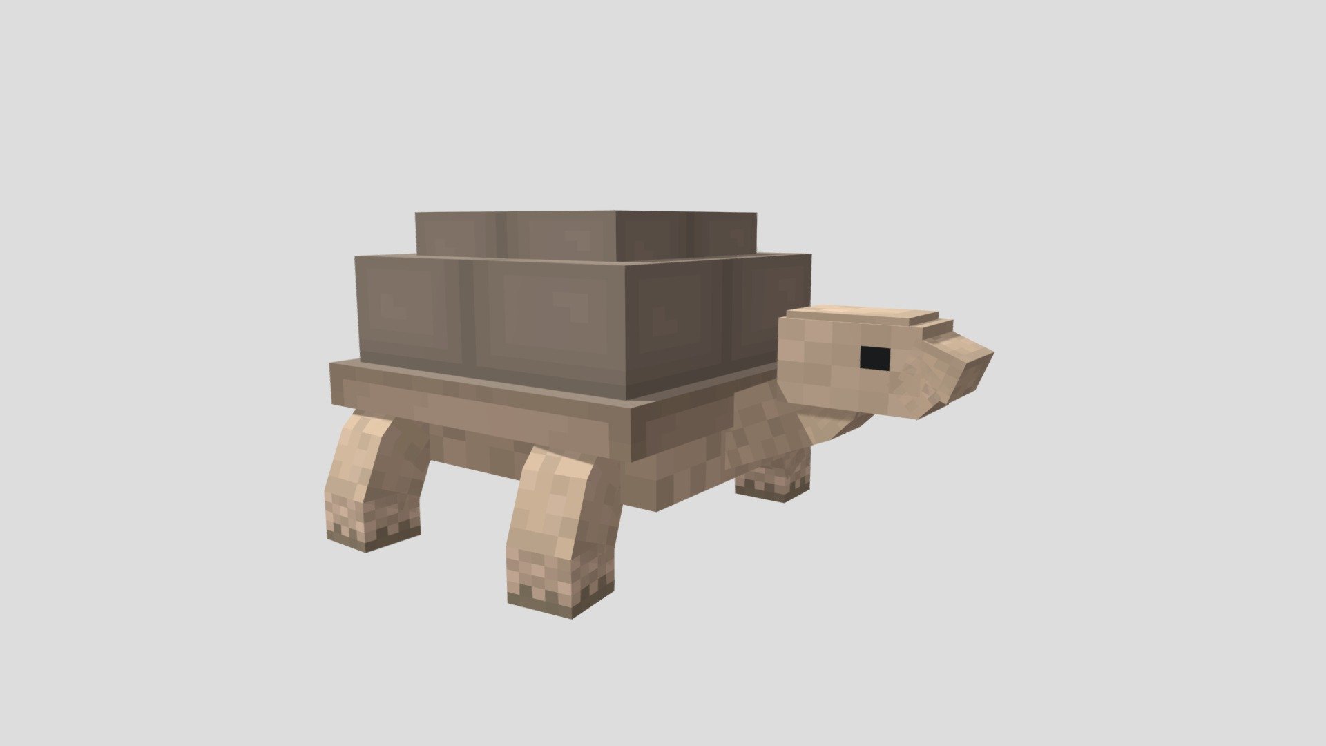 Turtle - 3D model by DrHaiku [d820440] - Sketchfab