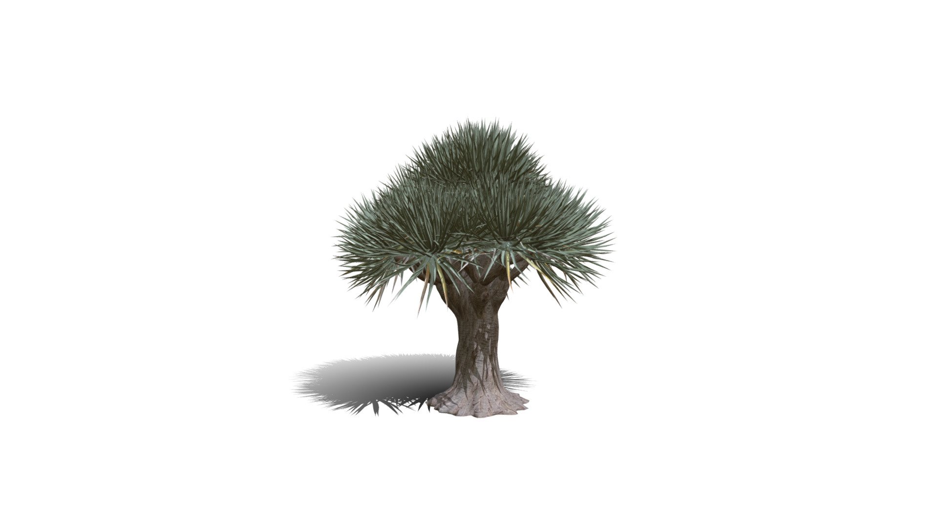 Realistic HD Dragon tree (34/50) - Download Free 3D model by ...