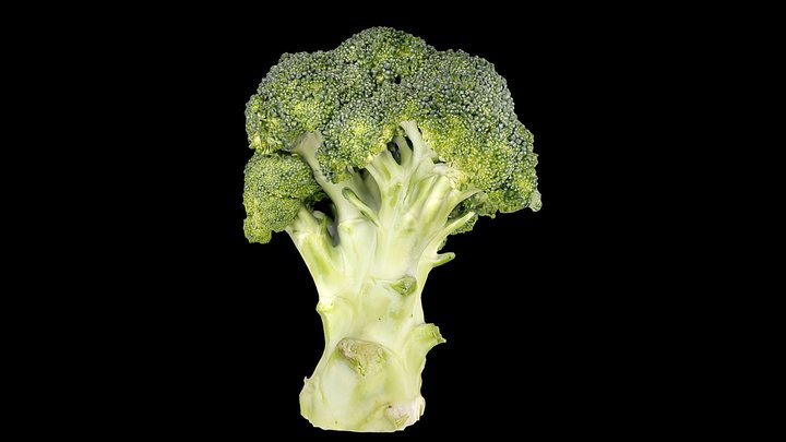 Broccoli 3D models - Sketchfab