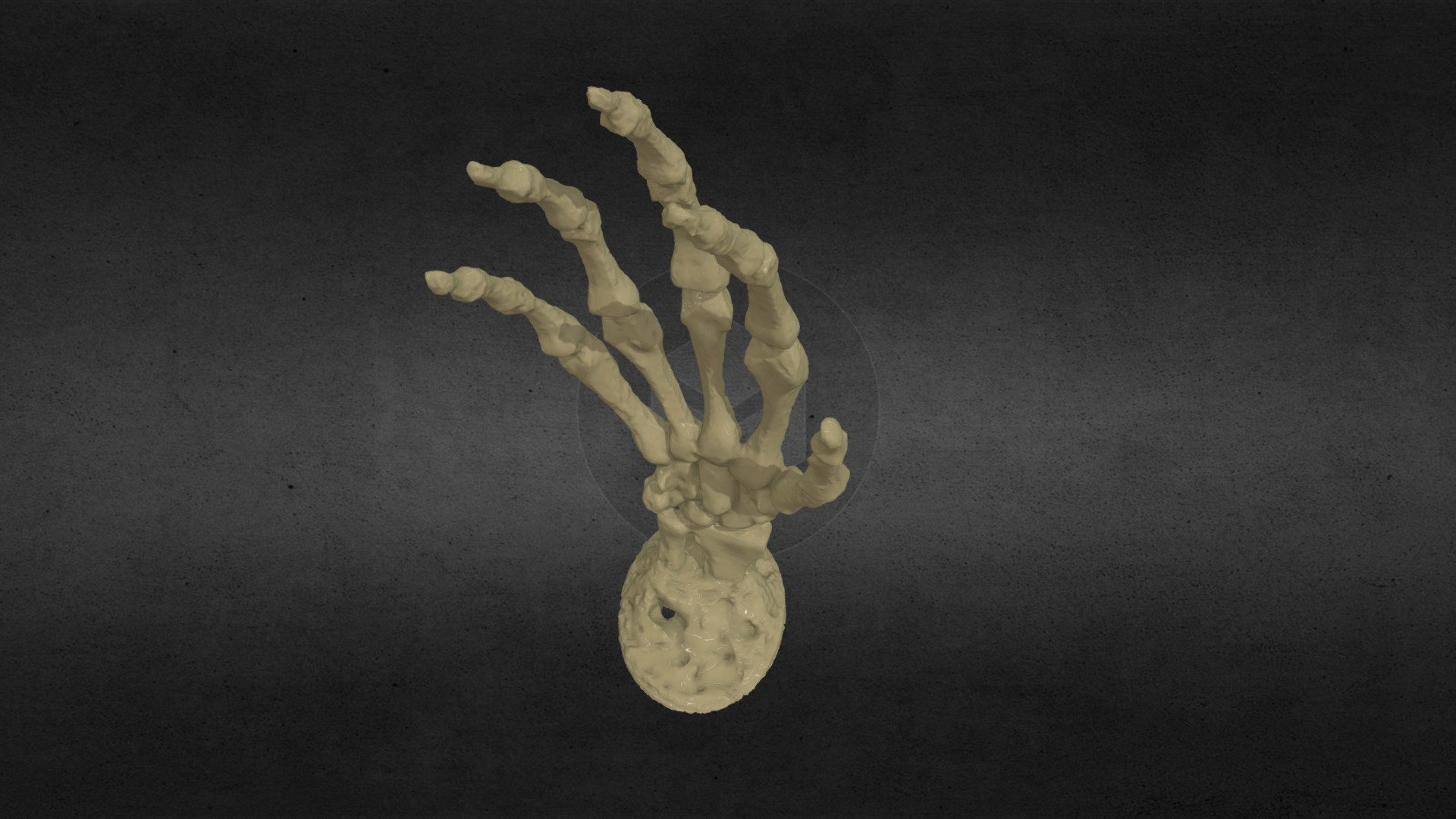 Bones of Right Hand - 3D model by Jonathan Young (@sketchdoc) [d83872b ...