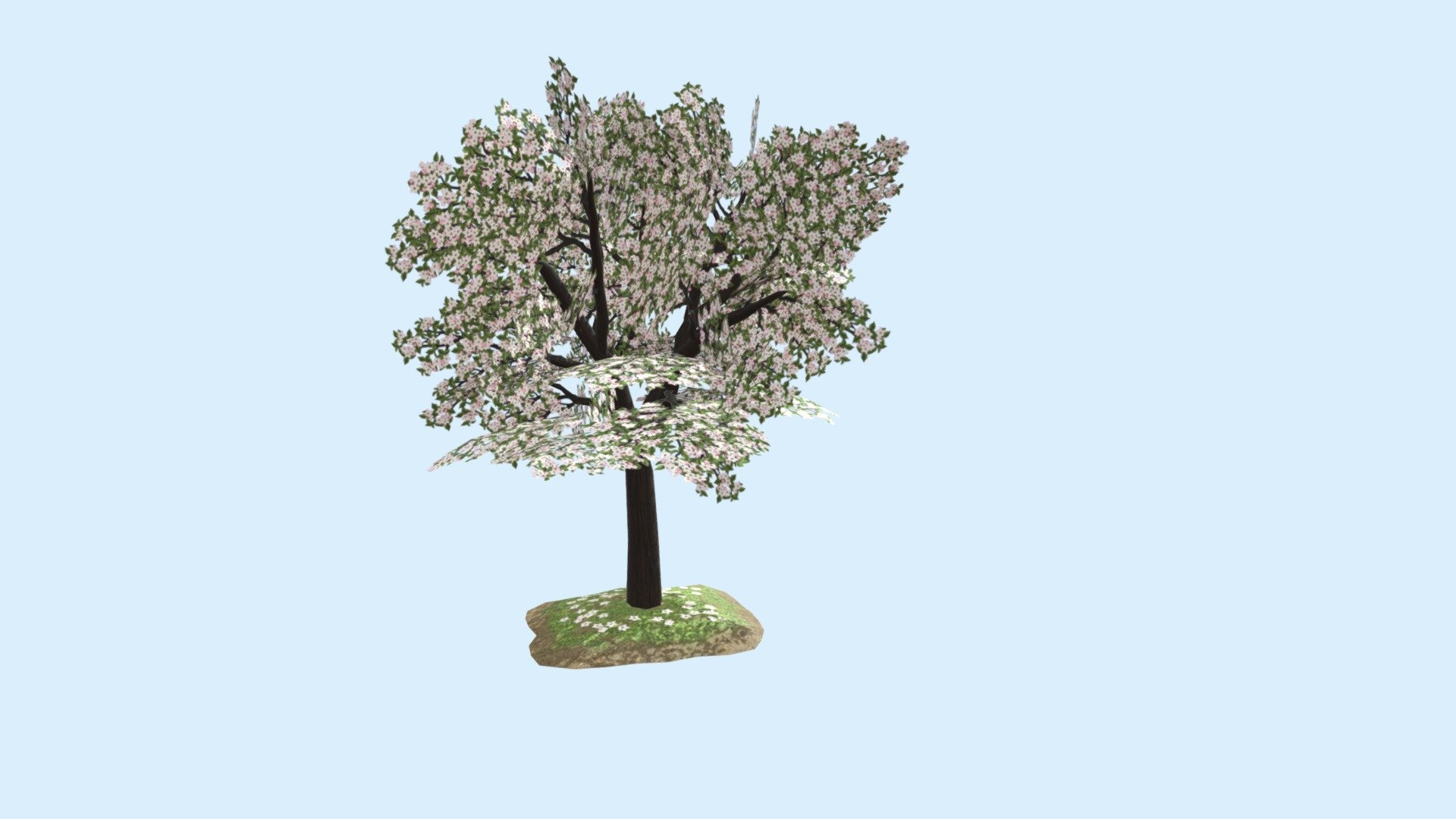 apple blossom tree - 3D model by Bridget (@bridgetlykin) [d83a854 ...