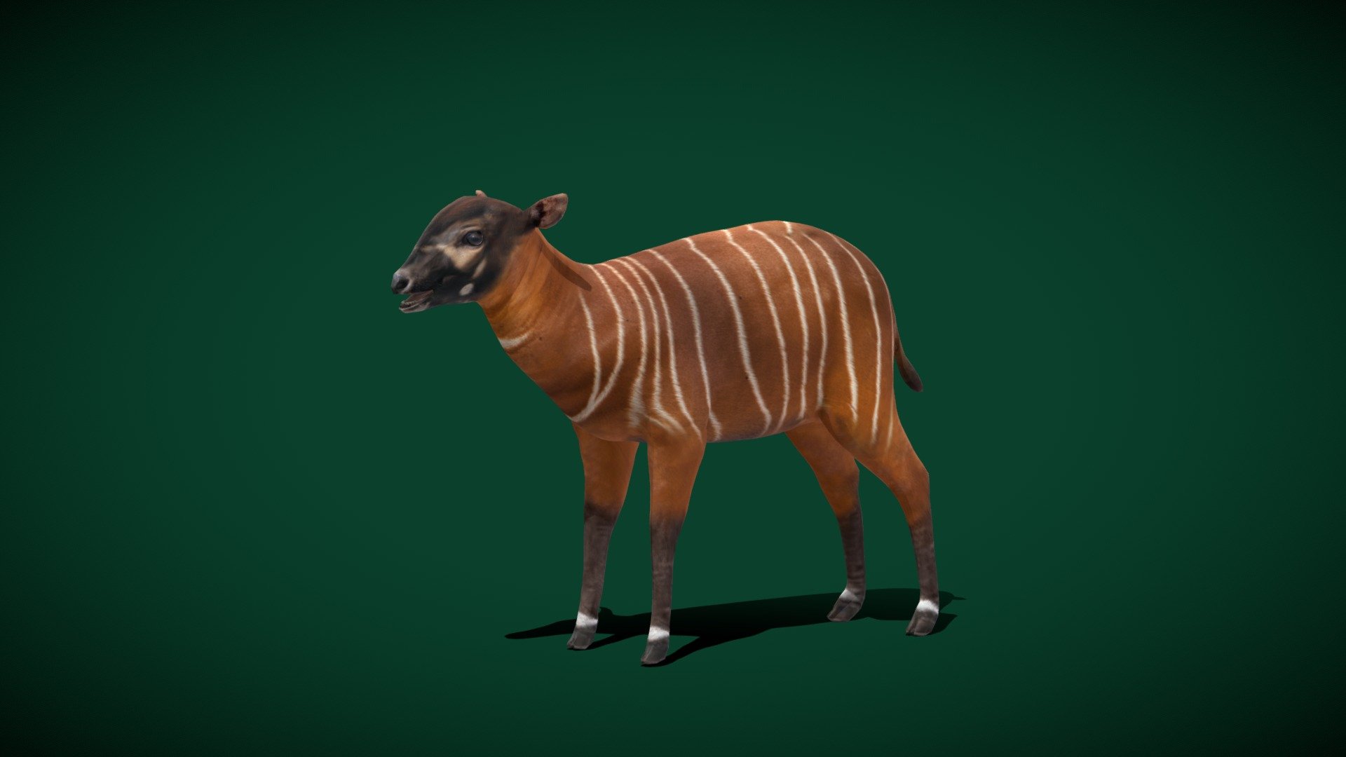 Eastern Bongo Calf Antelope (Endangered) - Buy Royalty Free 3D model by ...
