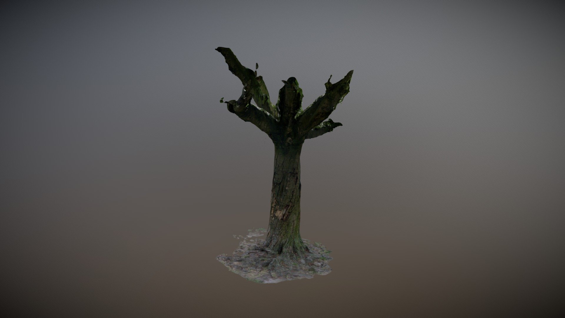 Tree1 - 3D model by Javaddicted [d840b78] - Sketchfab