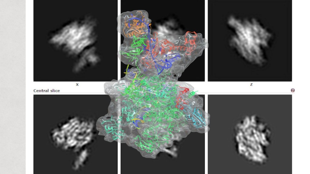 EMDB › EMD-3561 - 3D model by Interactive 3D Data (@proteinsimulation ...