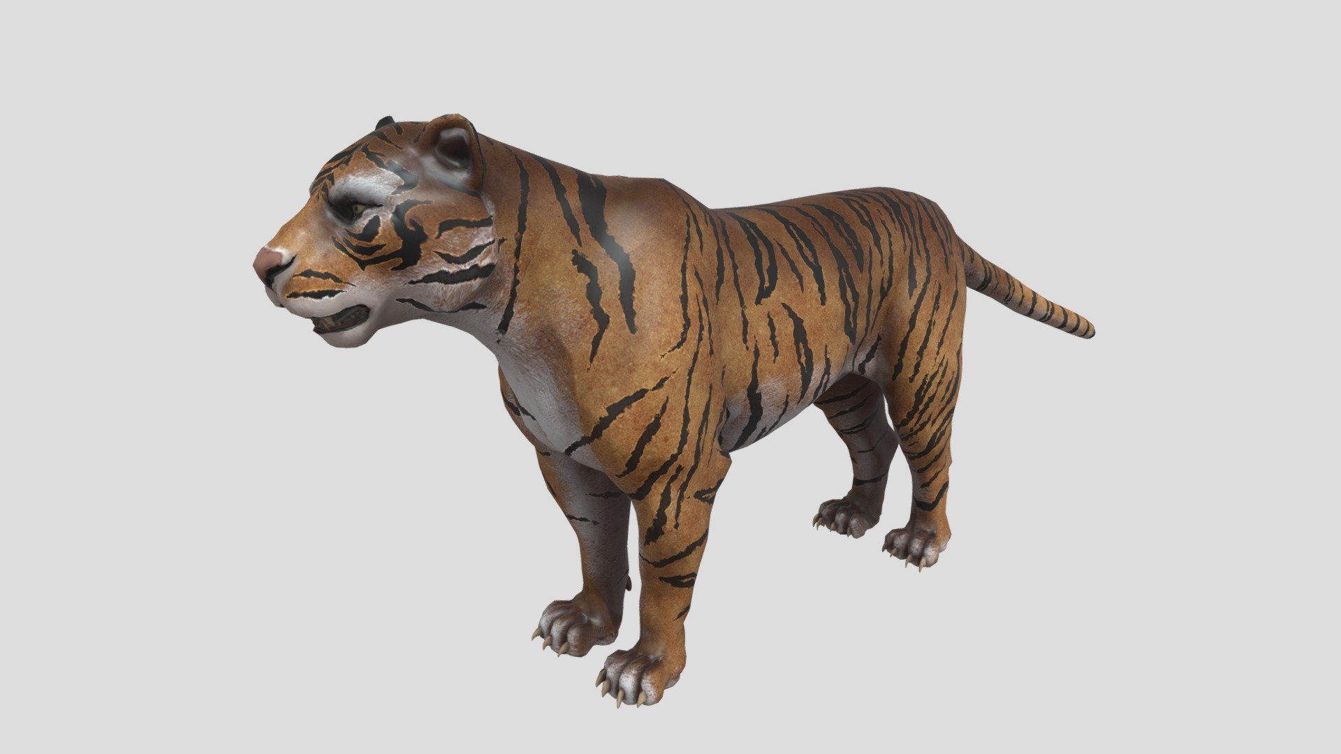Game-Ready Realistic Rigged Tiger - Buy Royalty Free 3D model by ...