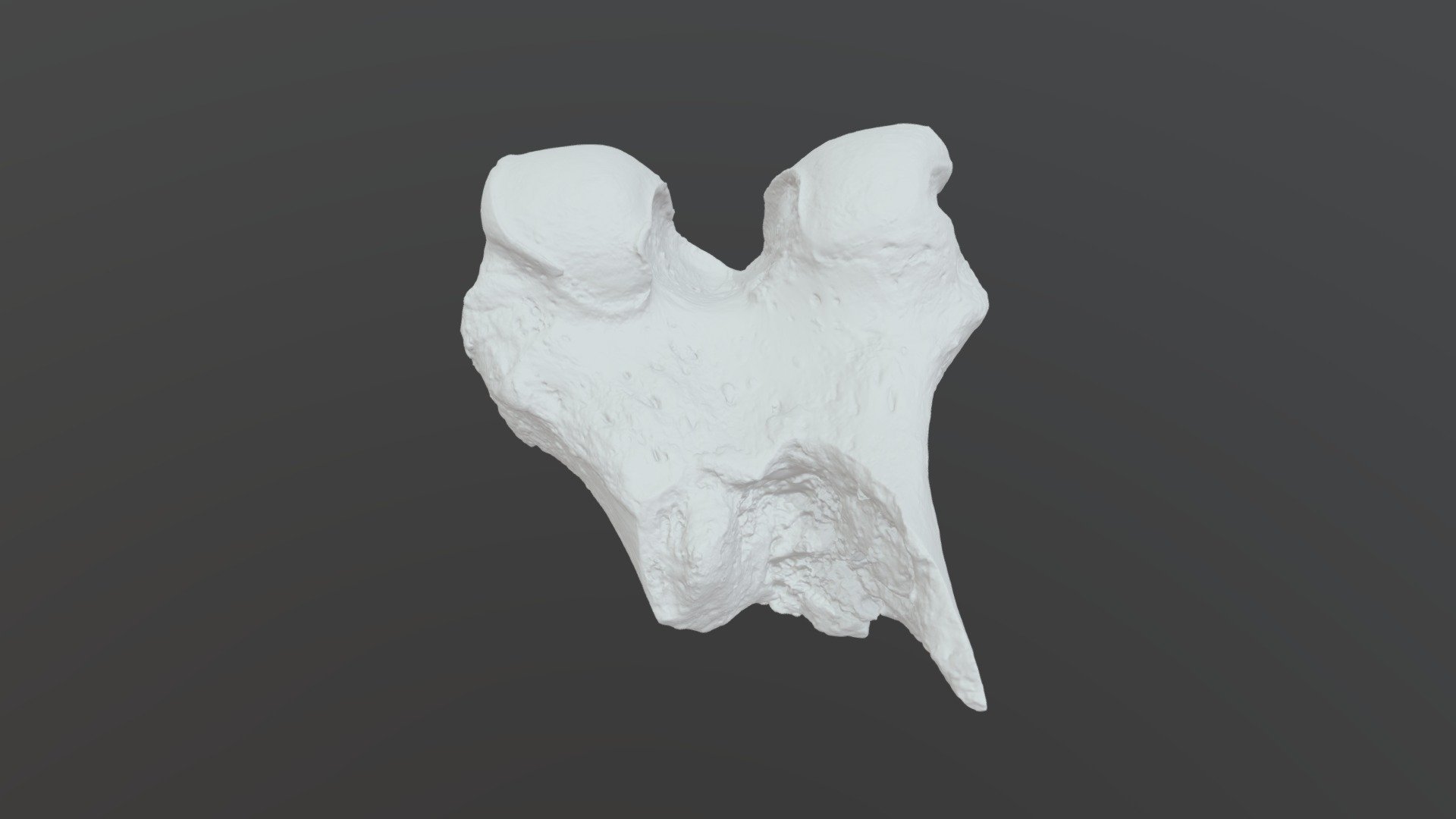 Bone_artec_micro - 3D model by 3dscanservice [d85a6e5] - Sketchfab