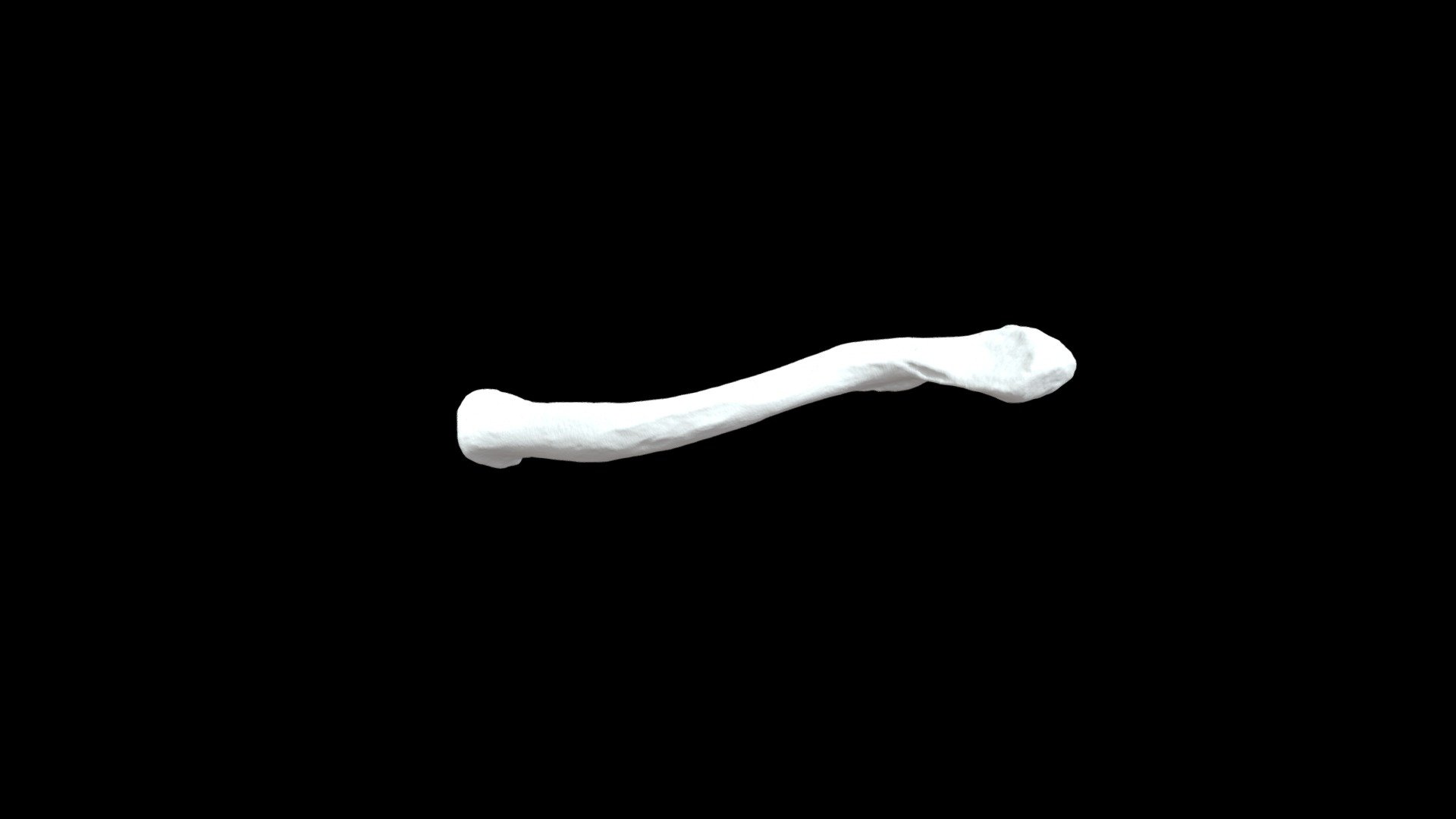 Bone035EXT - 3D model by Tenzer Technology Center at DePauw University ...