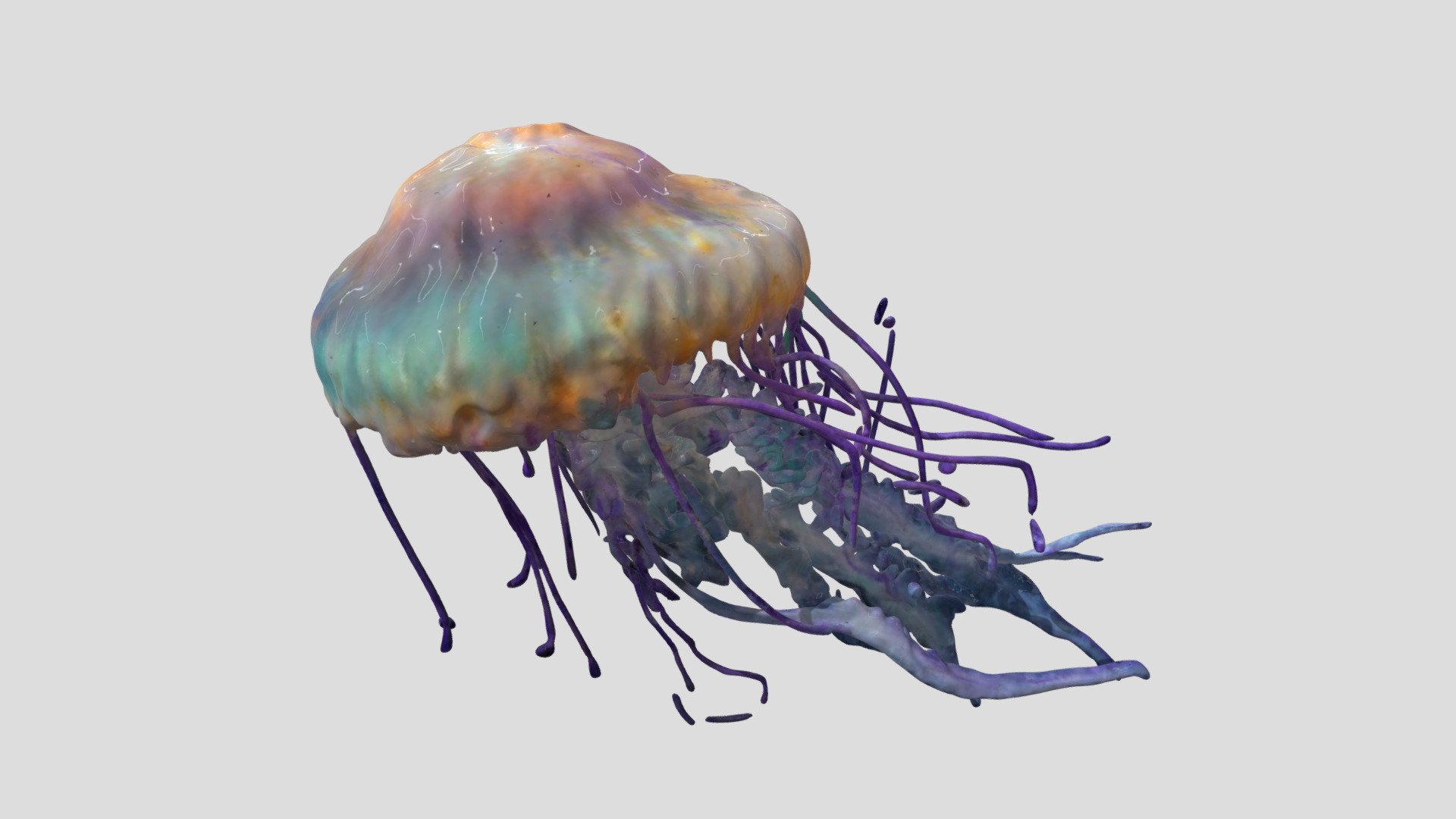 Phantom Reaper - fish - Download Free 3D model by Brian Trepanier ...