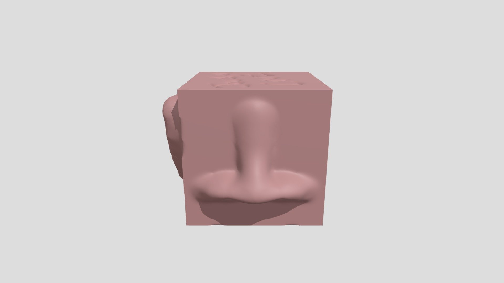 - Anatomy cube 4 - 3D model by jcruzgara0001 [d86a941] - Sketchfab