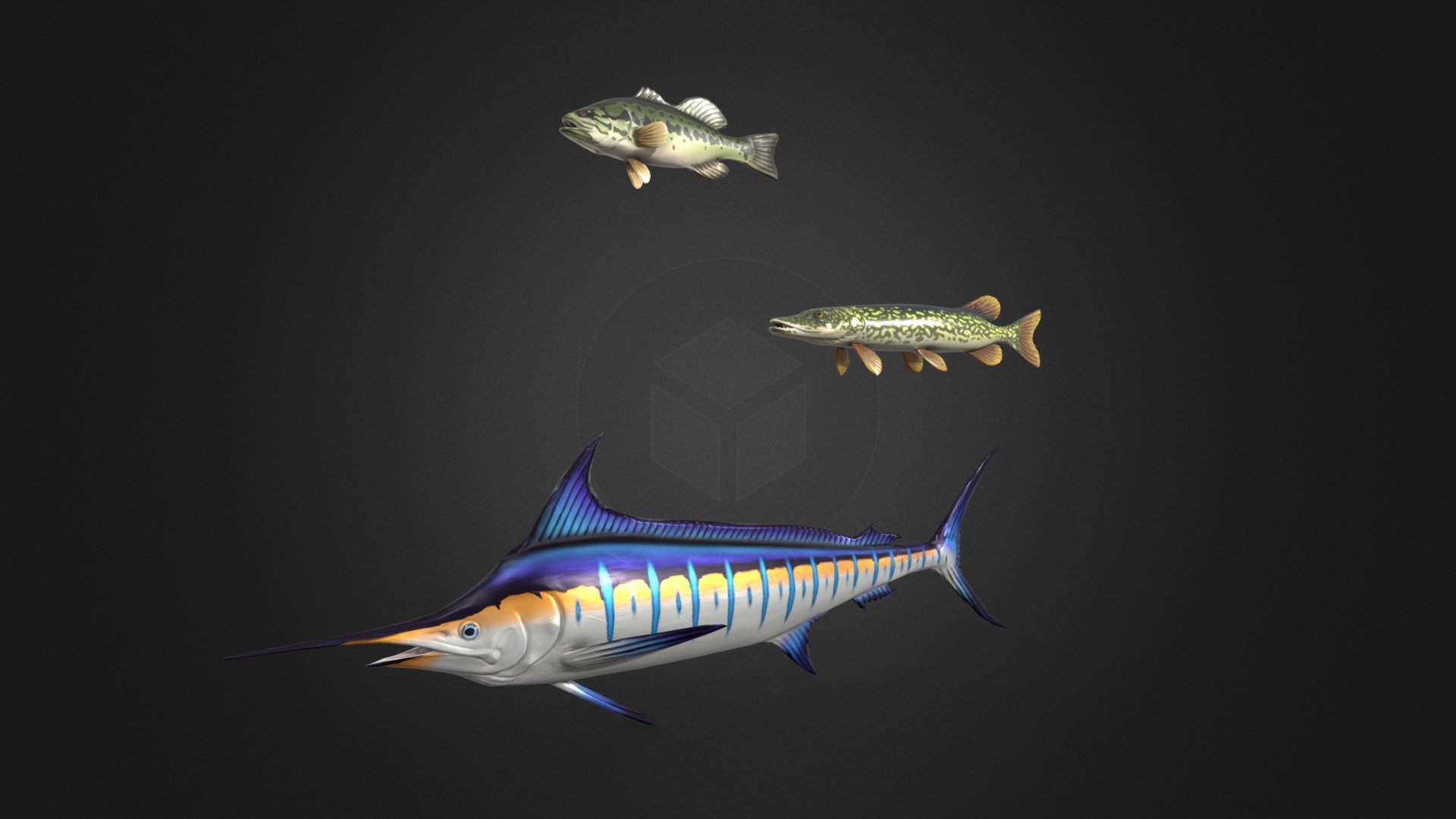 Stylized Fish - 3D model by FancyFez [d883f86] - Sketchfab