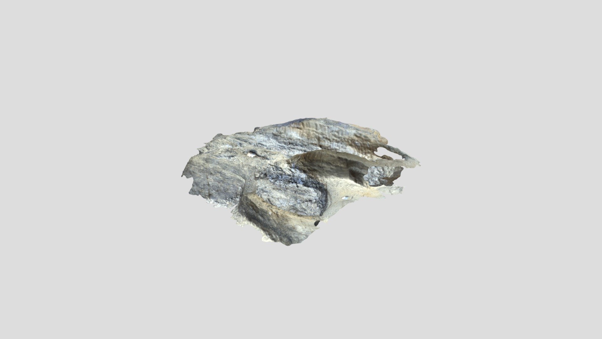 Leg Block Low Res Simplified 3d Mesh - 3D model by taphonomy [d88d644 ...