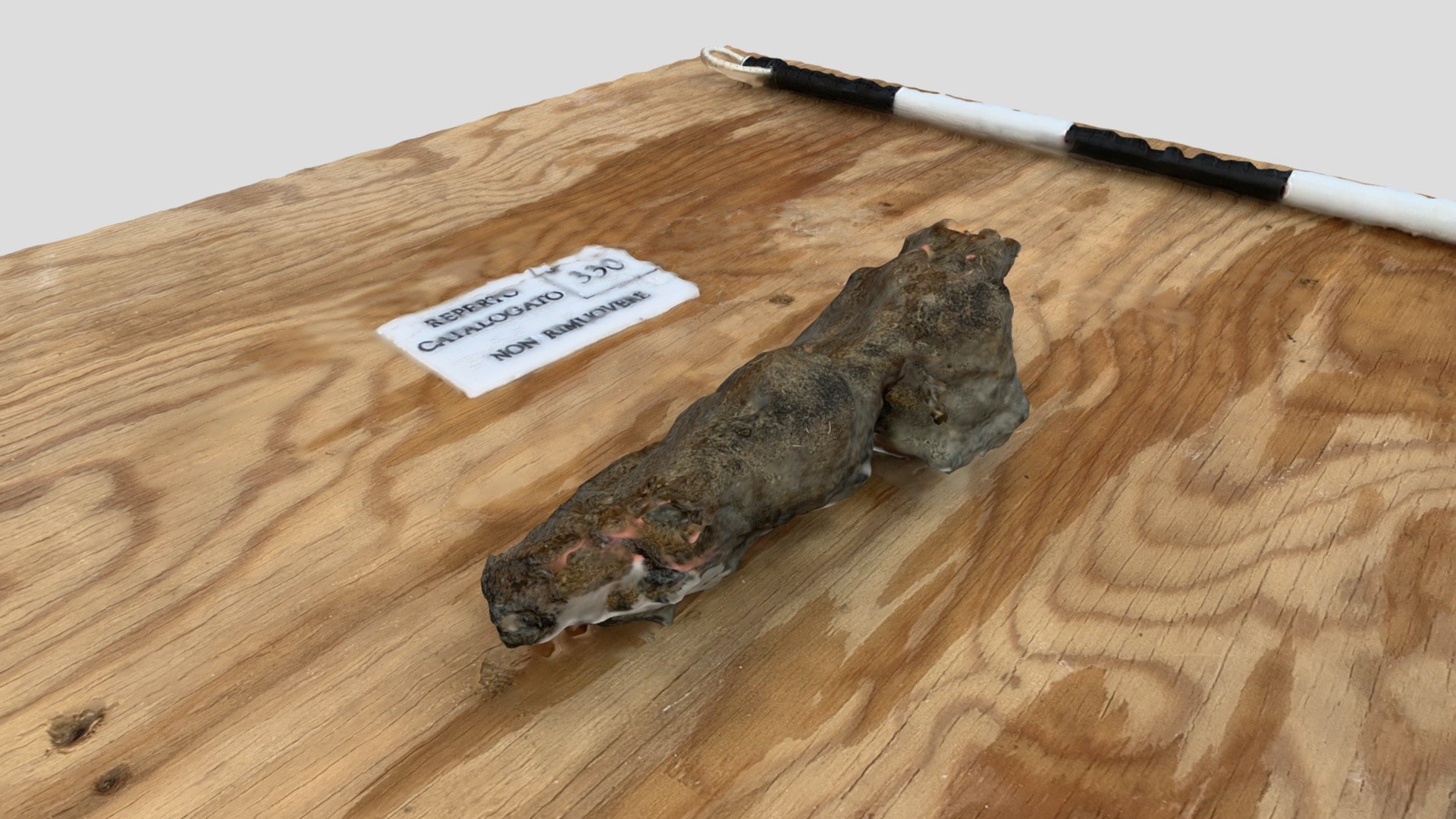 Sword Sheath - 3D model by ryanbooker [d8a2983] - Sketchfab