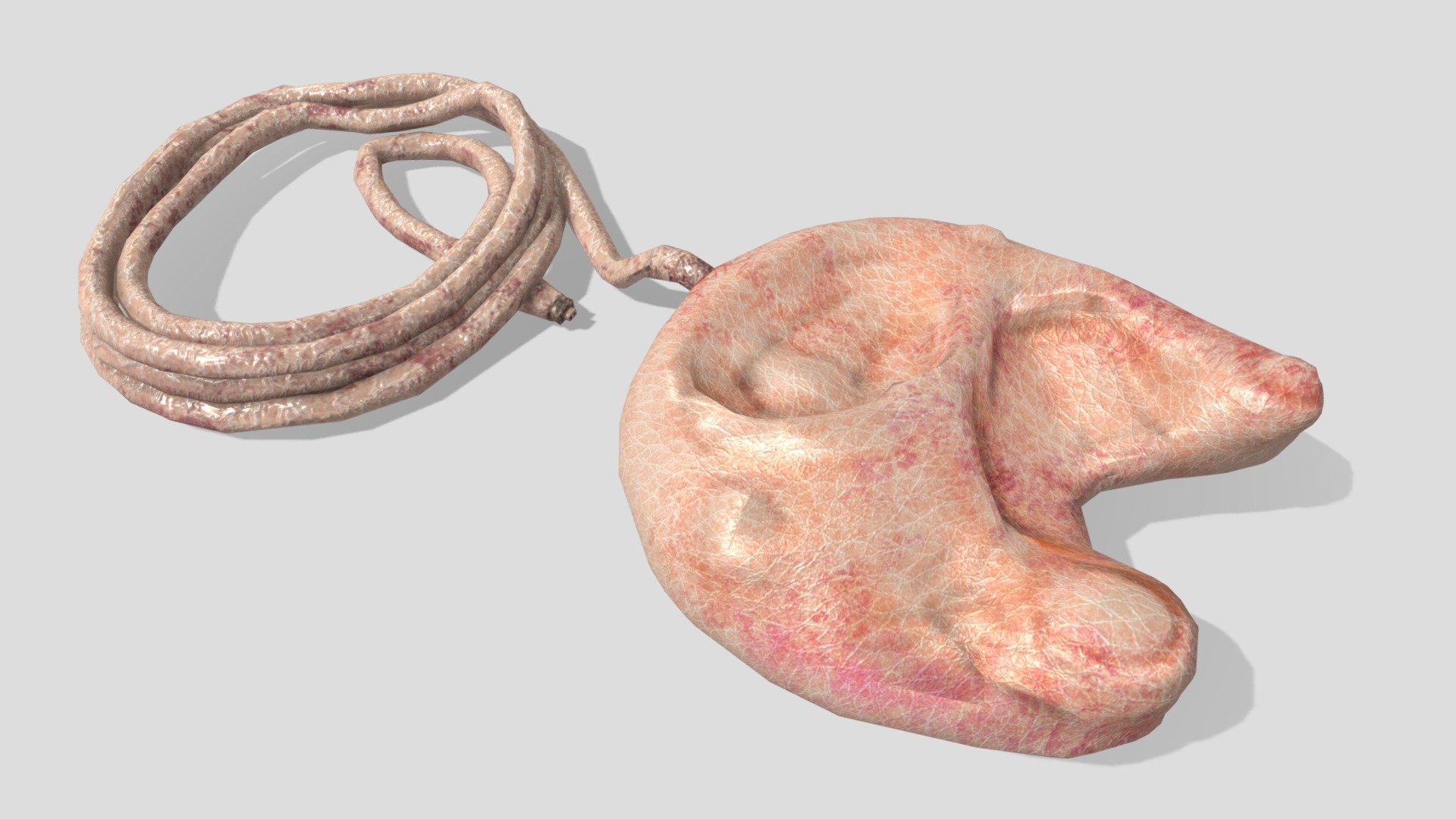 MetaFlesh Game Pod from the film eXistenZ - Download Free 3D model by ...