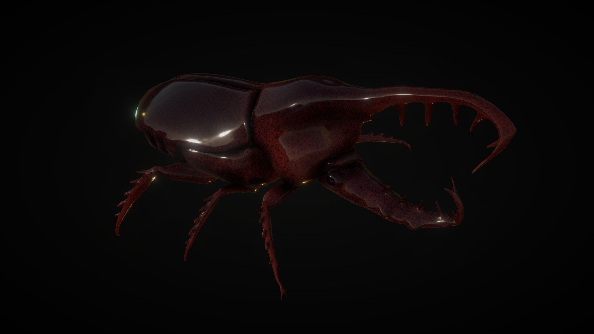 Beetle - 3D model by Piyaphan.Chanpitaksamut [d8b28ca] - Sketchfab
