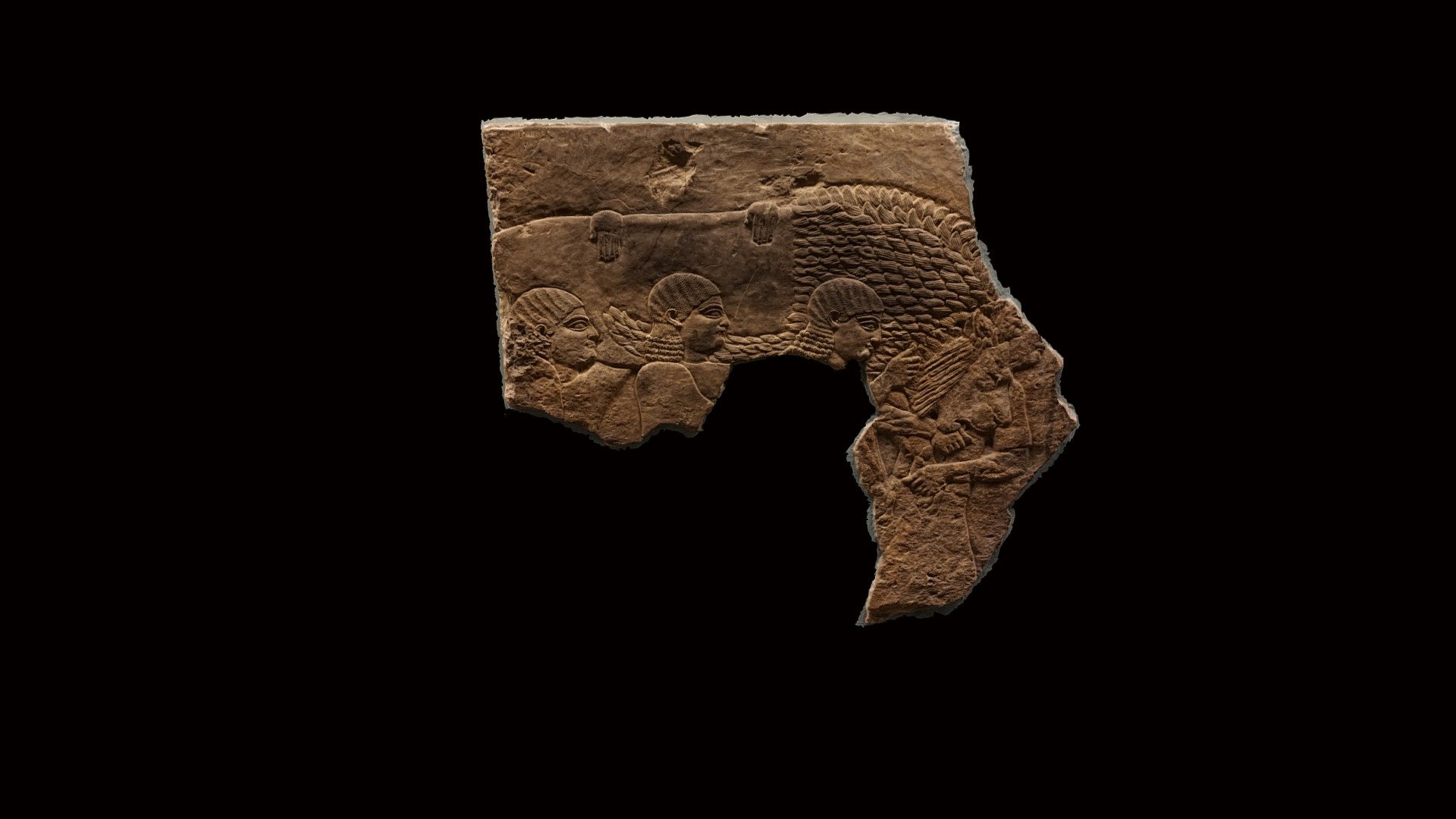 A fragment of gypsum panel - Download Free 3D model by danielpett ...