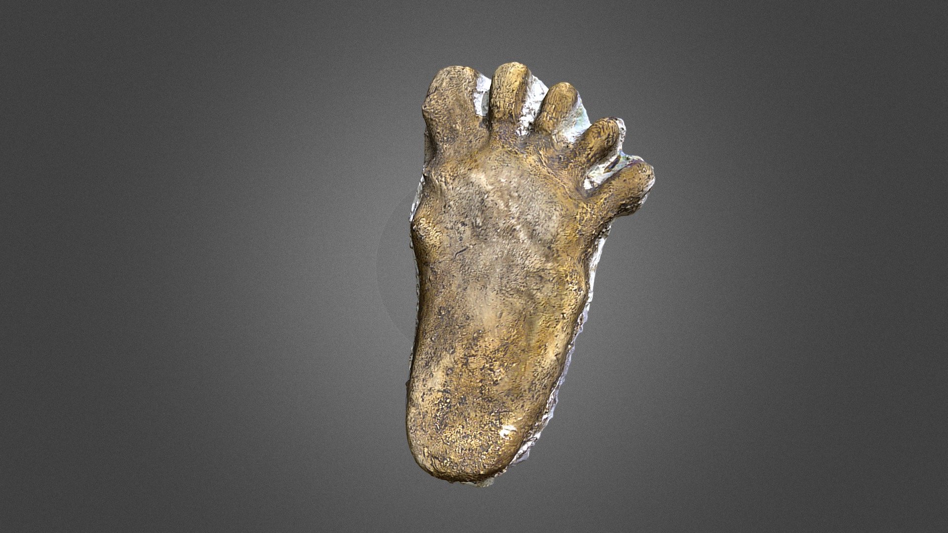 Big foot-print (Blue Mountains, Washington, USA) - 3D model by ...
