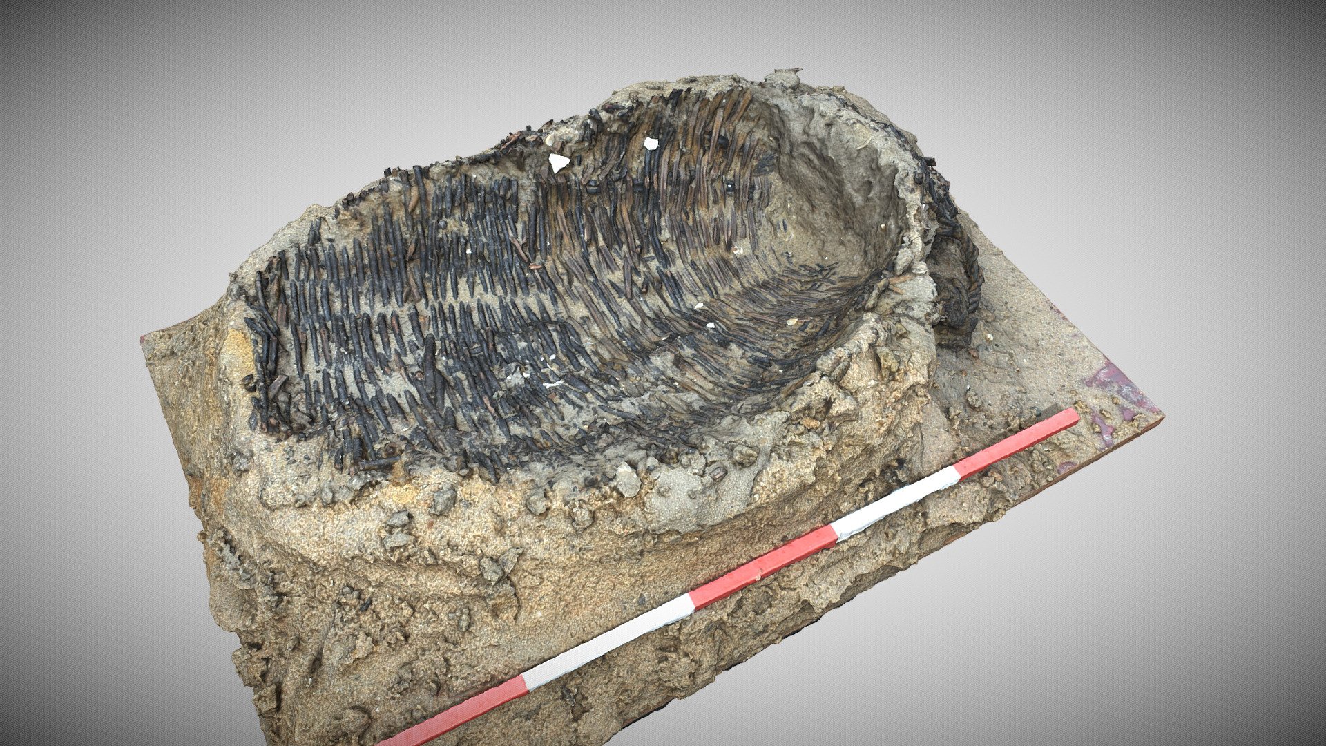 Romeinse fuik - 3D model by erfgoed Utrecht (@Erfgoed.Utrecht) [d8cf214 ...