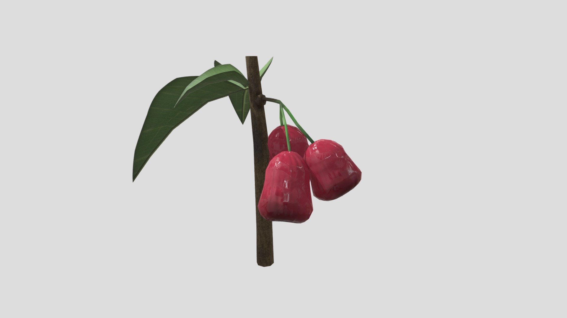 Jambu - 3D model by vahnessa [d8d5c81] - Sketchfab