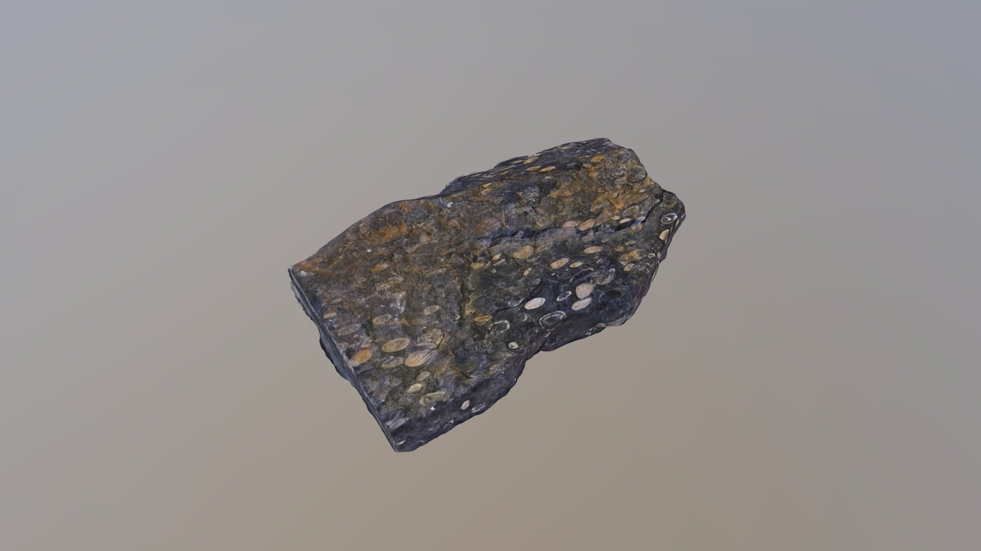 Oncolitos - 3D model by Laboratorio de Paleobiología (@PaleobioLAB ...