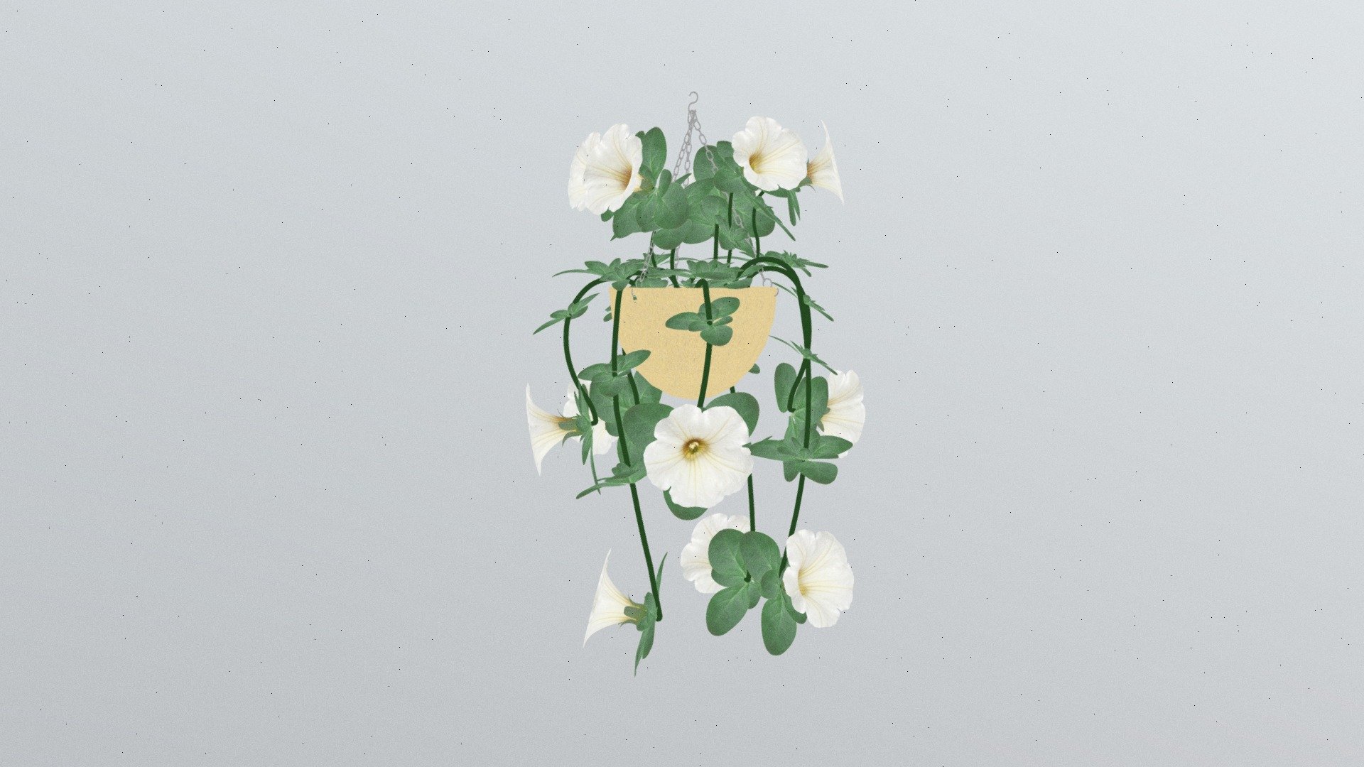 flowers_petunia_white - 3D model by ponkmedia [d8e1fef] - Sketchfab