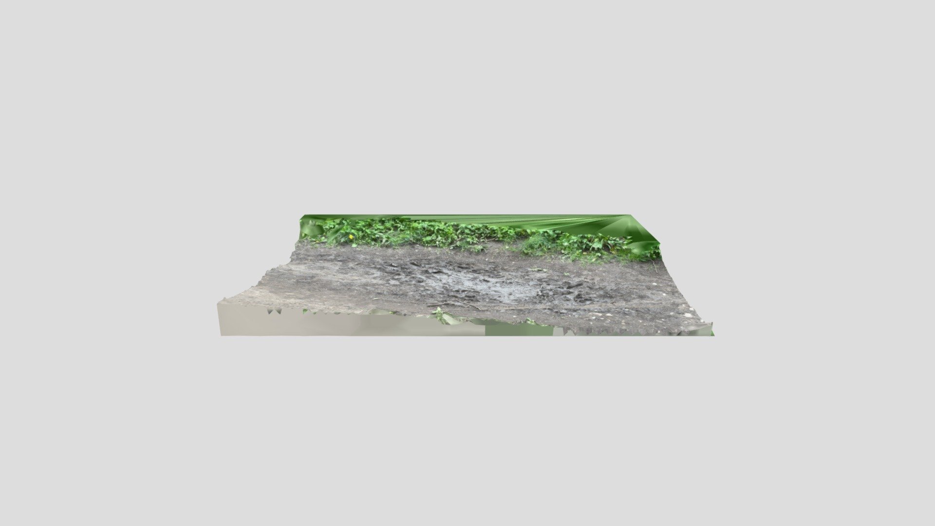Muddy path Scan 2023-05-01T18:29:38.601Z - Download Free 3D model by ...