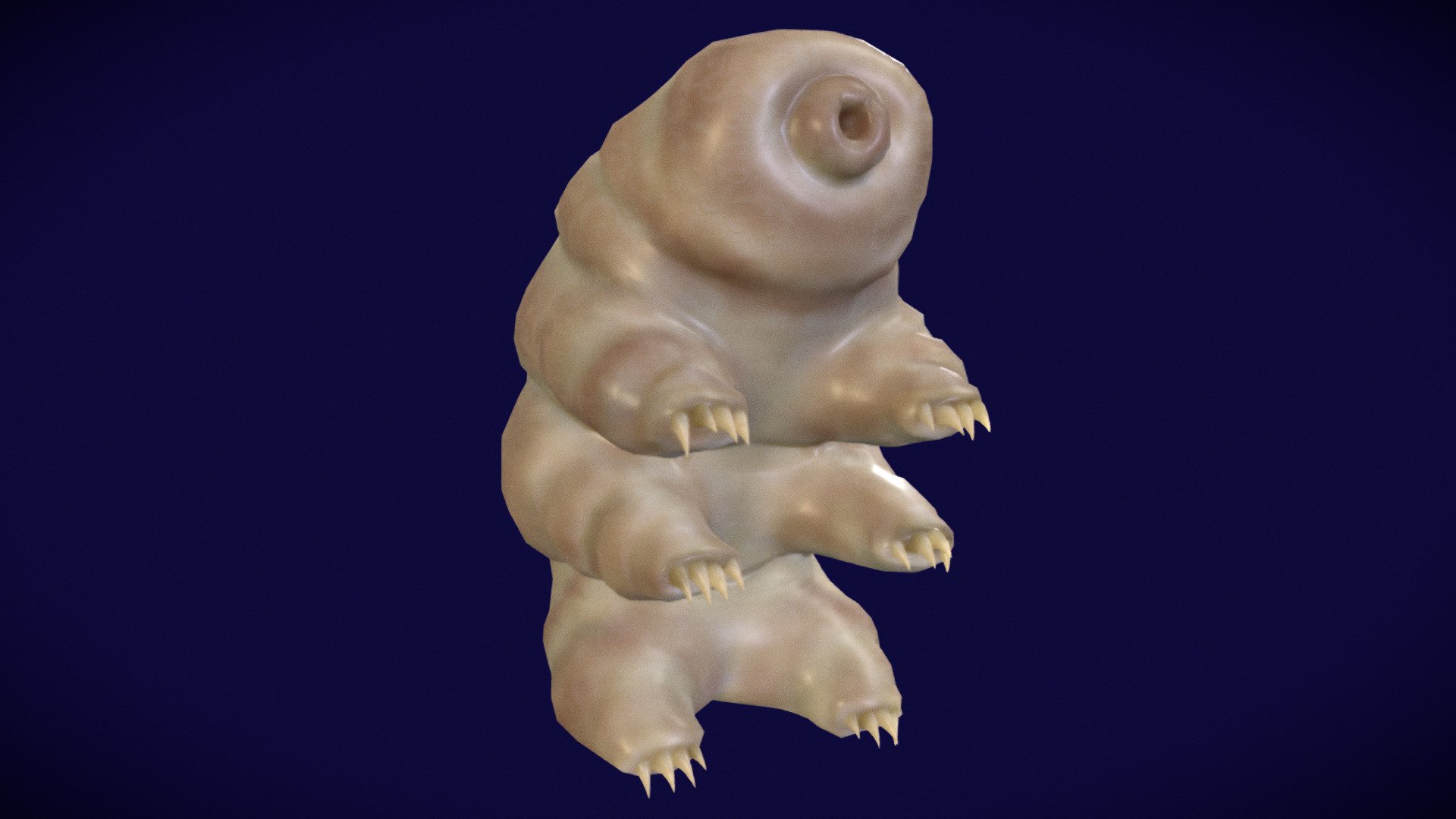Tardigrade - 3D model by Animativ.G [d8ed983] - Sketchfab