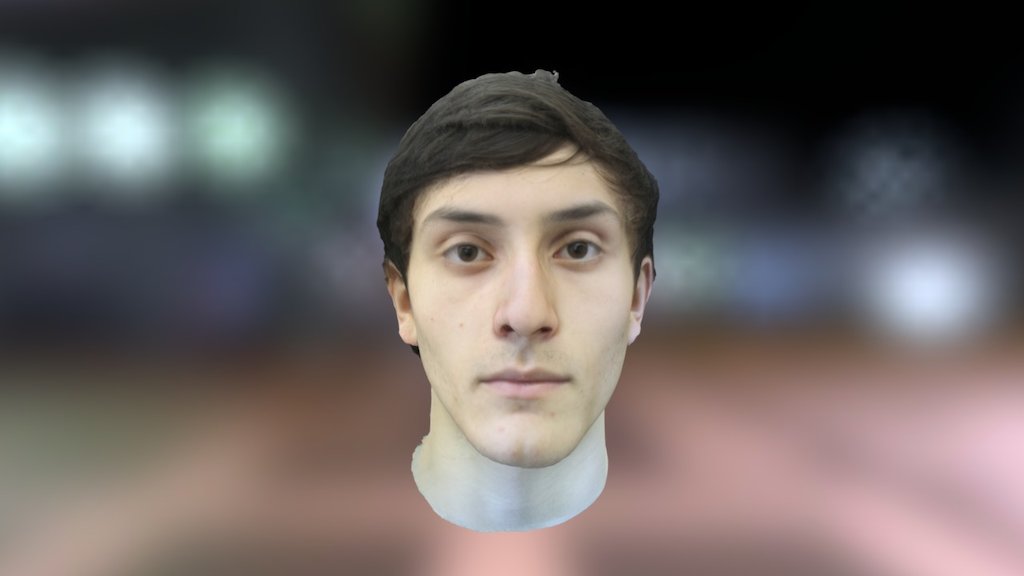 Camera Array Full Head Scan - 3D model by Kevin Falcetano (@falce003 ...