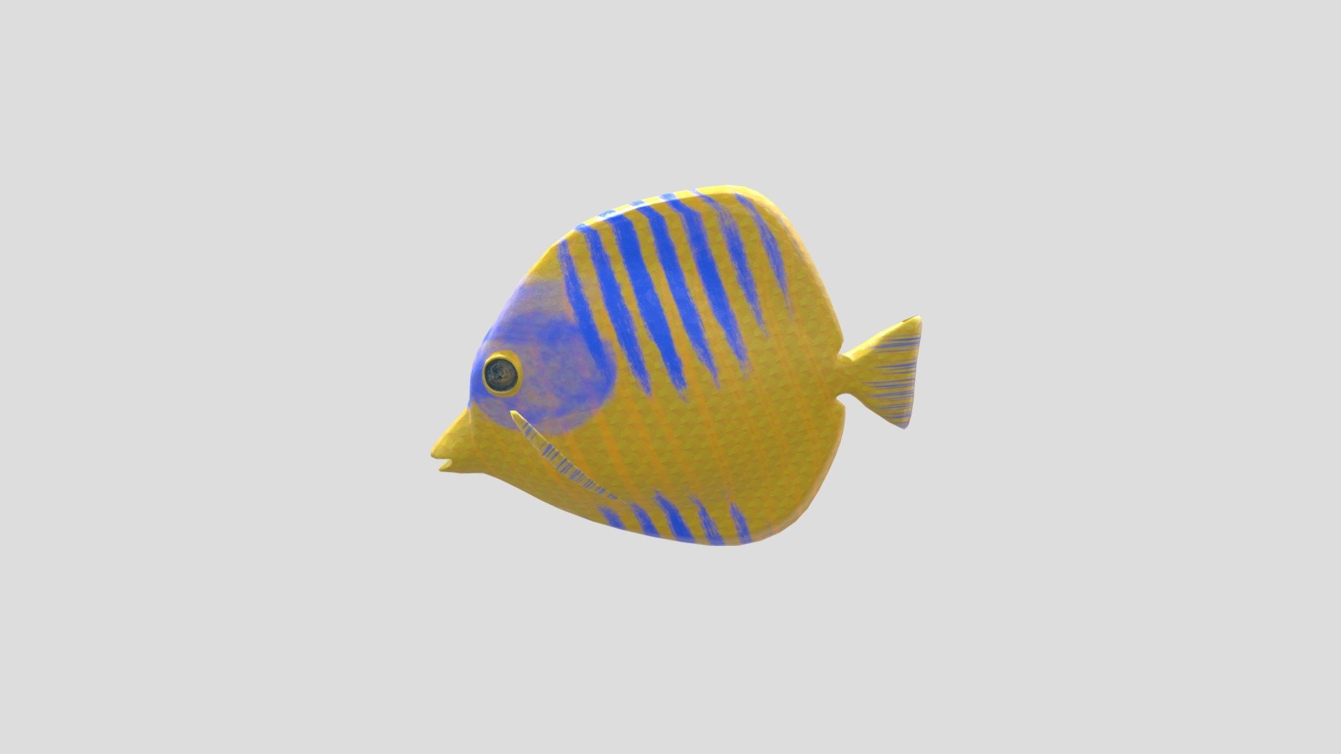 TurnerFish - 3D model by Oturner01 [d8fcea9] - Sketchfab