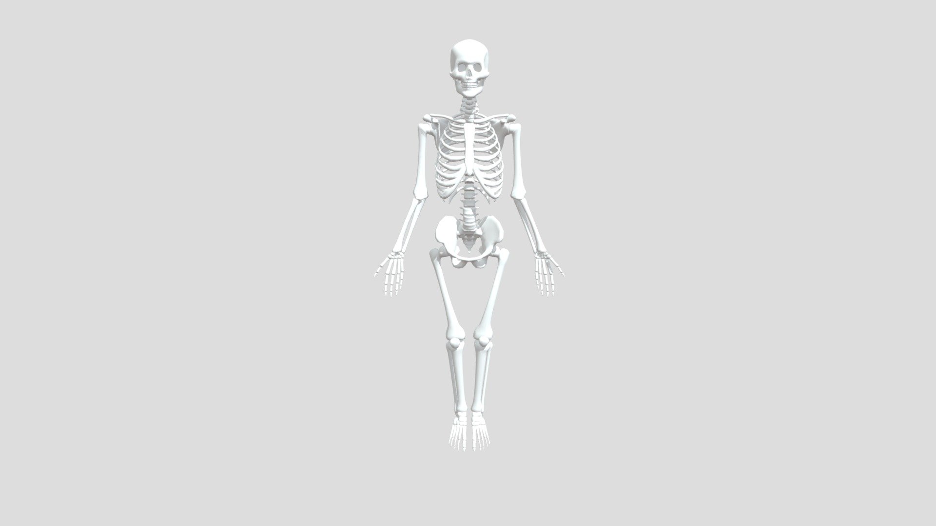 Skeleton-rig - 3D model by tesuyanigara [d8ff367] - Sketchfab