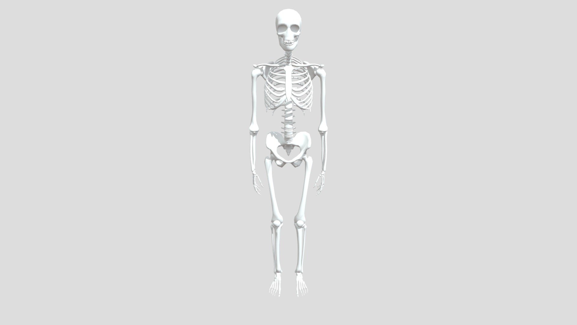 Skeleton - Download Free 3D model by NFTLAB (@_NFTLAB) [d8ff84d] - Sketchfab