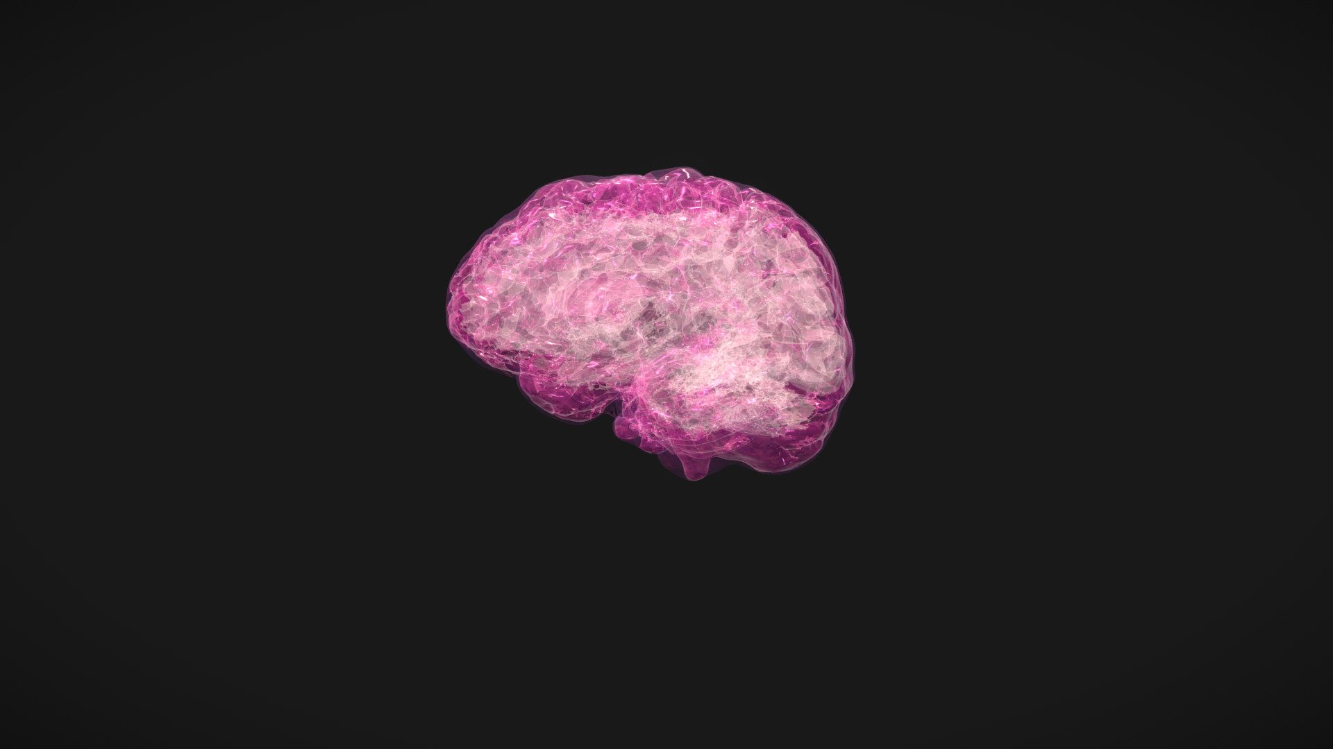 Brain CT Scan - 3D model by Tomer Nussbaum (@tomer.nussbaum) [d907867 ...
