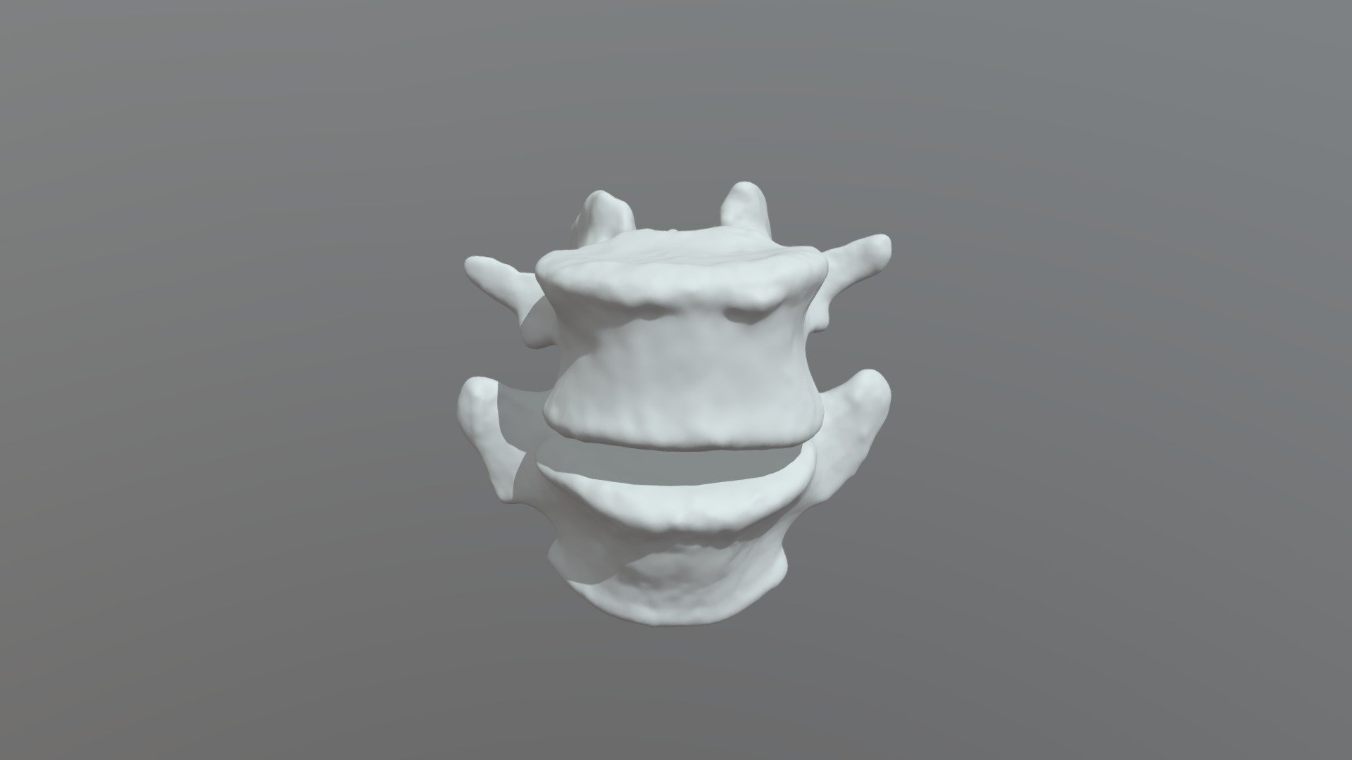 L4/L5 Vertebrae of Lumbar Spine - 3D model by mihalkov3danatomy ...