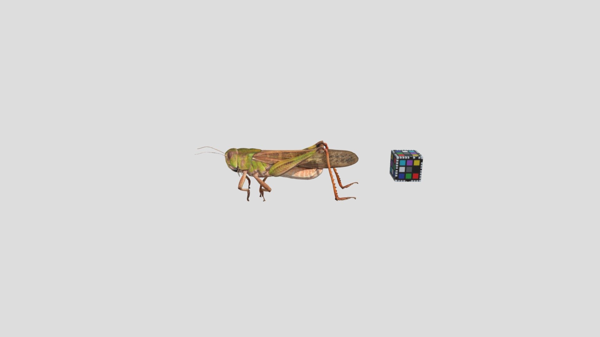 sample-3d.gltf.gltf - Download Free 3D model by celumdemo [d90ce65 ...