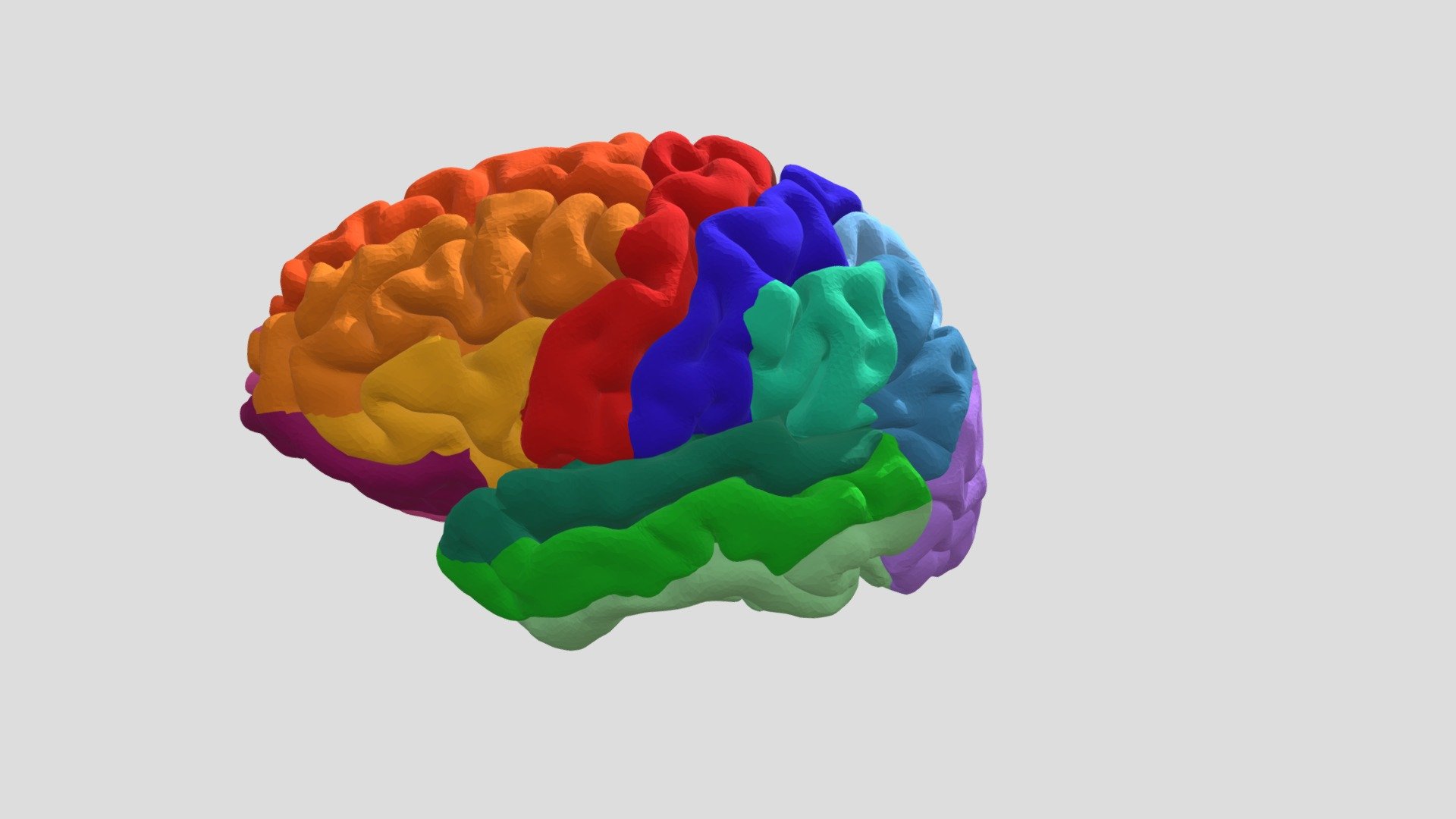 Detailed Labeled Surface Structures - Download Free 3D model by Ruth ...