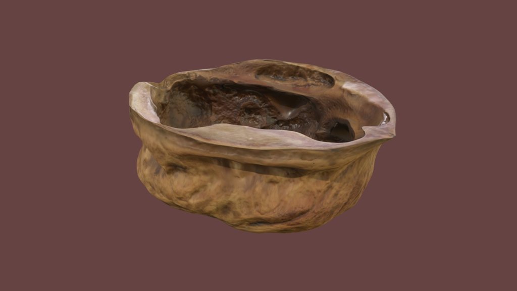 Walnut Shell - 3D model by Fabian Schempp (@fabianschempp) [d913456 ...
