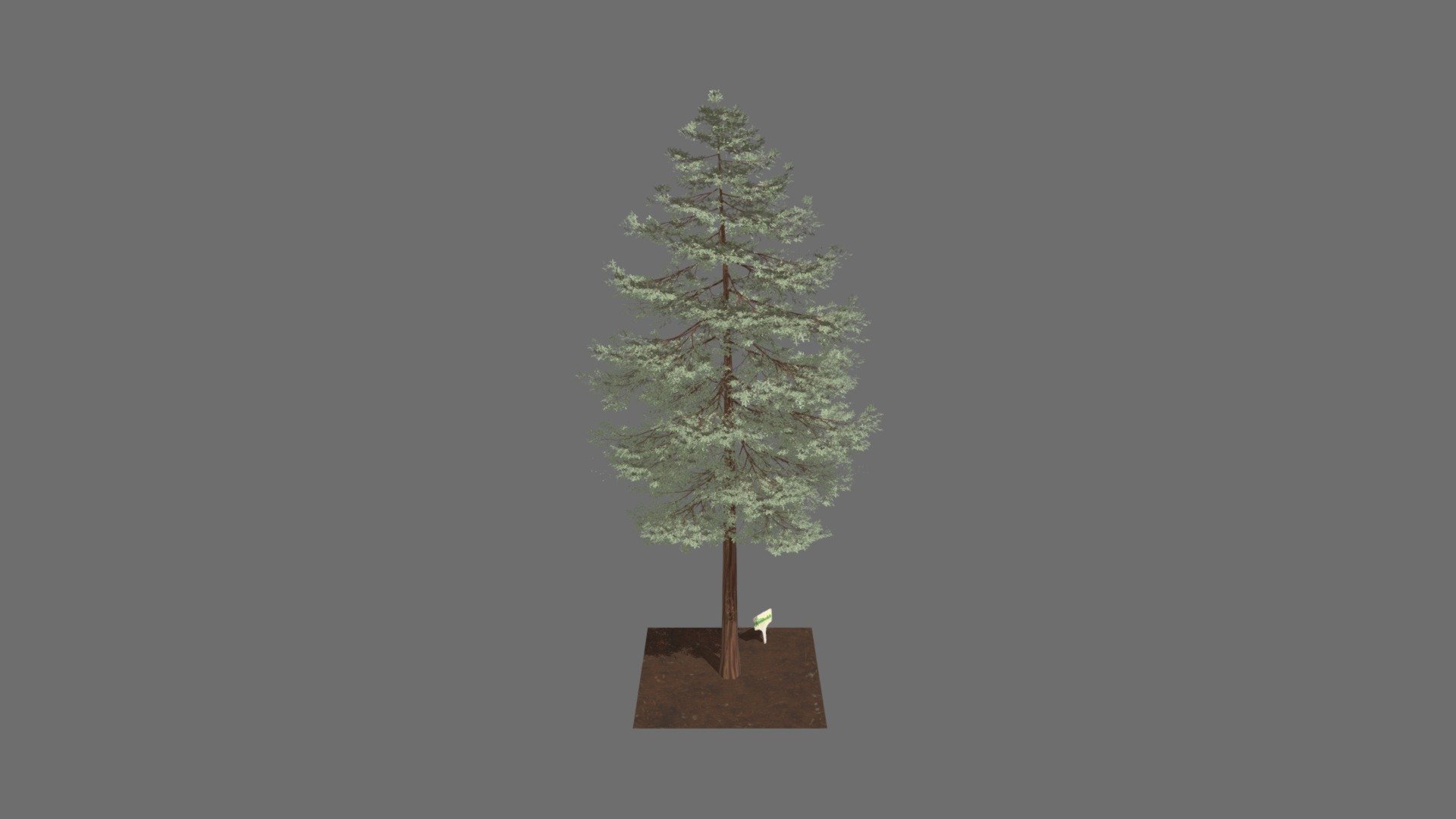 CPH 3D Herbarium - Redwood - 3D model by cphaj [d918de2] - Sketchfab