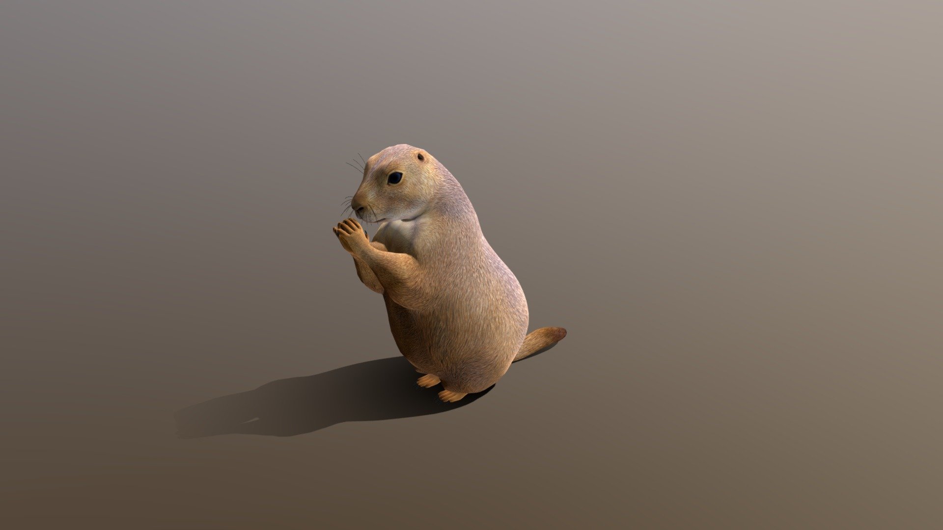 Rabbit - Download Free 3D model by SDPM Esare (@sdpm) [d9232d8] - Sketchfab