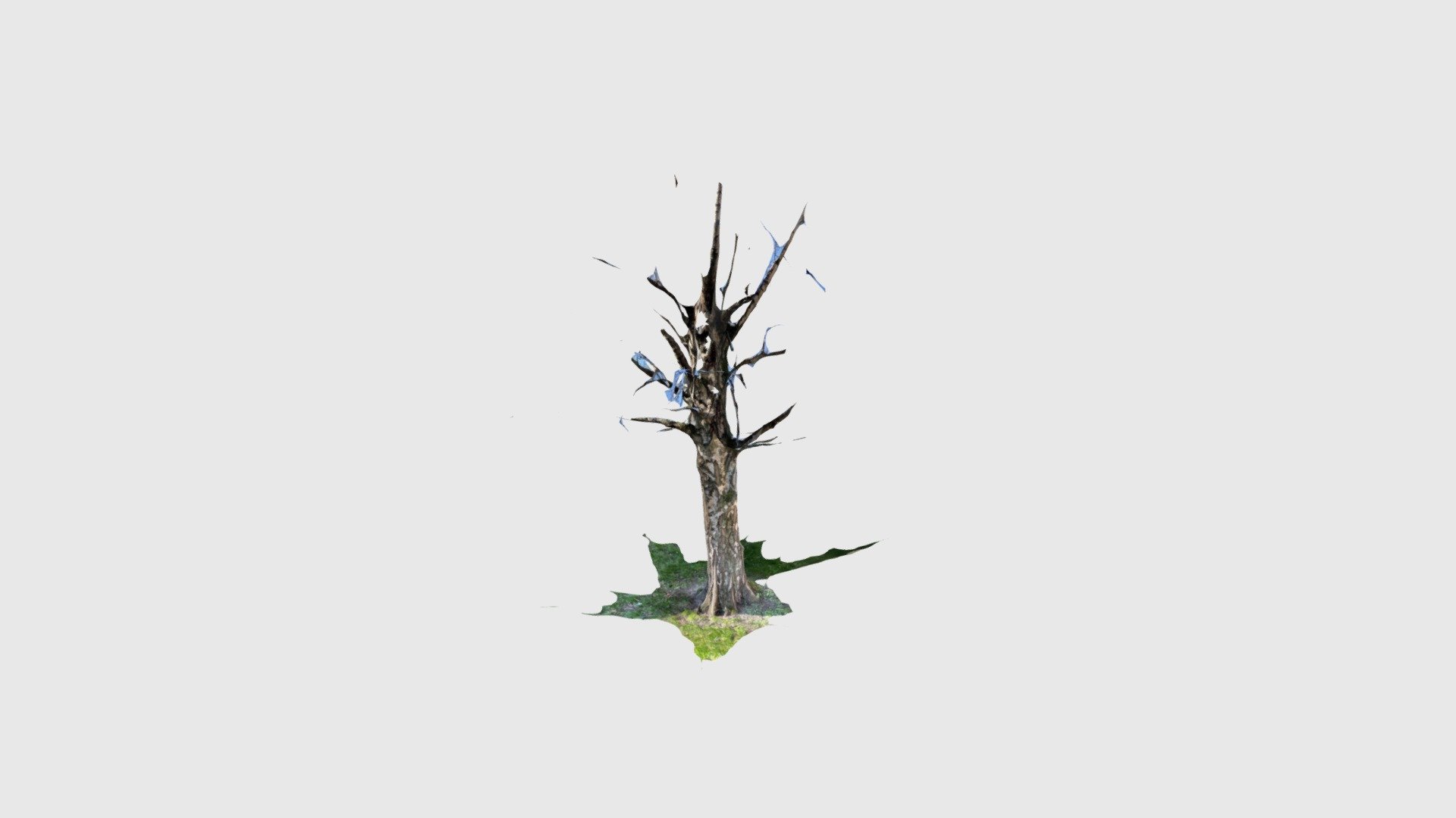 Treelog 2 - 3D model by Marschi [d9233d8] - Sketchfab