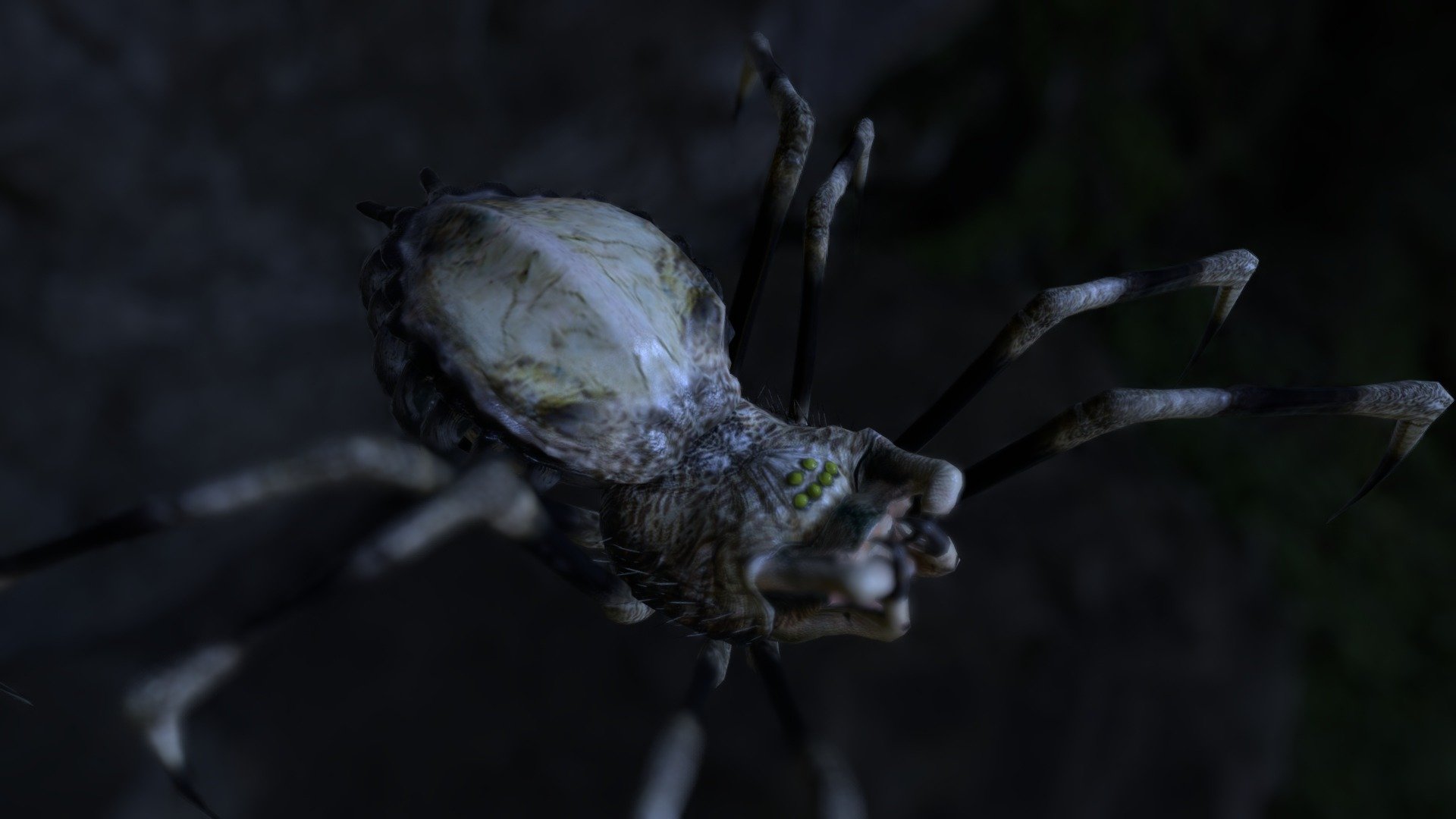 Predator Spider - Buy Royalty Free 3D model by Boycraft [d92833c ...