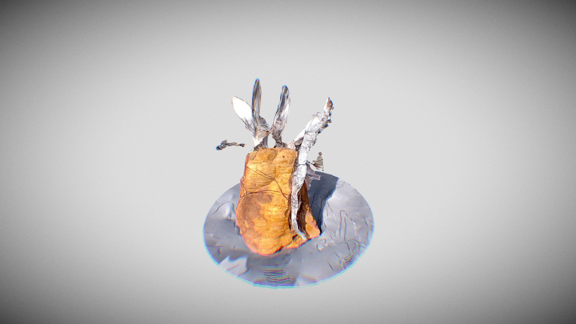 Metamorphosis - 3D model by MichaelaLawtoo [d929b10] - Sketchfab