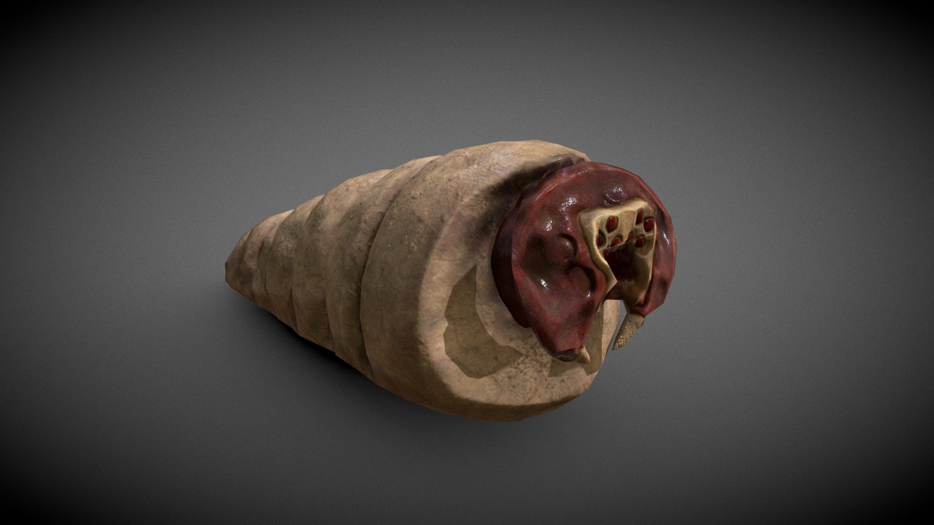 Maggot - 3D model by Shedmon [d949a6b] - Sketchfab