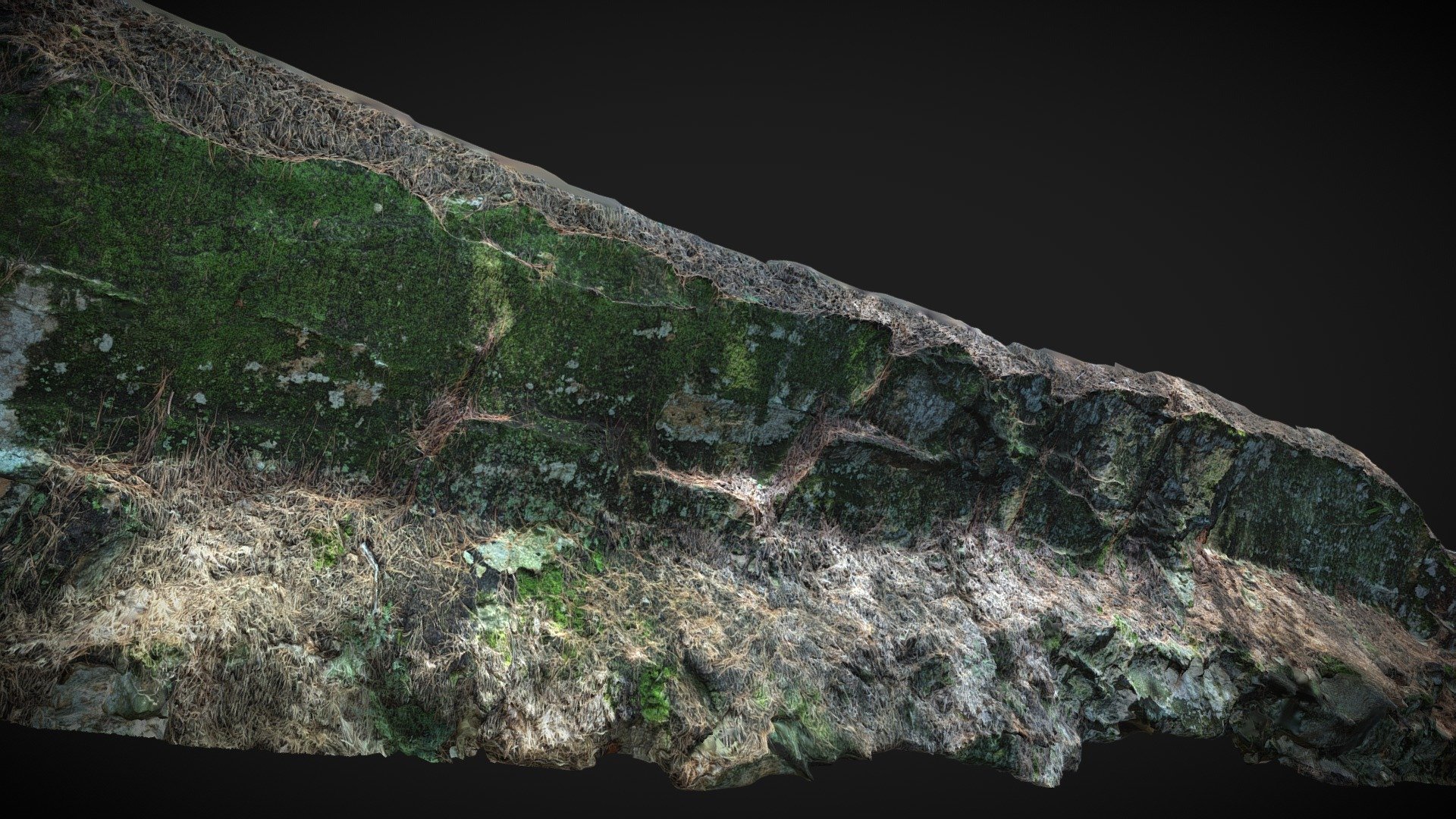 Forest rock, cliff - Buy Royalty Free 3D model by 3D assets ...
