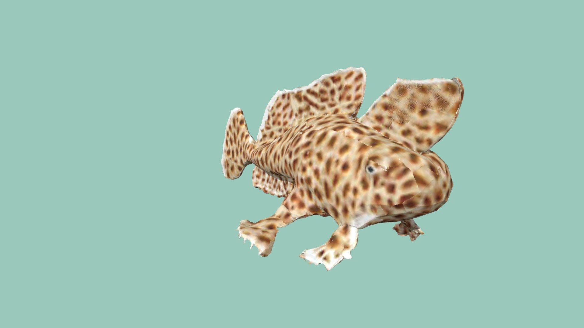 Handfish v0.4 - 3D model by Heather Doig (@hdoi5324) [d957d46] - Sketchfab